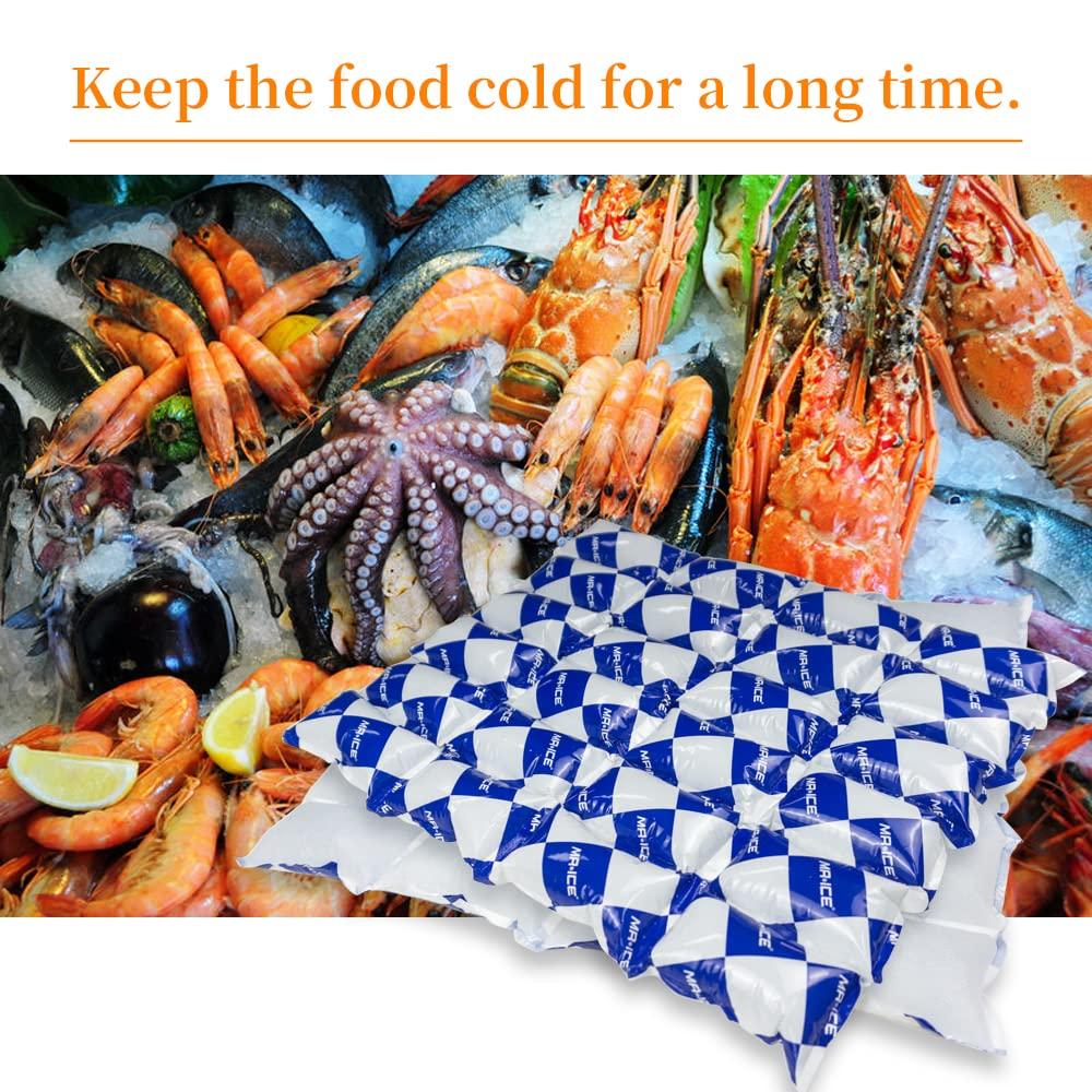 Dry Ice Packs for Shipping - Flexible Cold Packs for Frozen Food - Ice ...