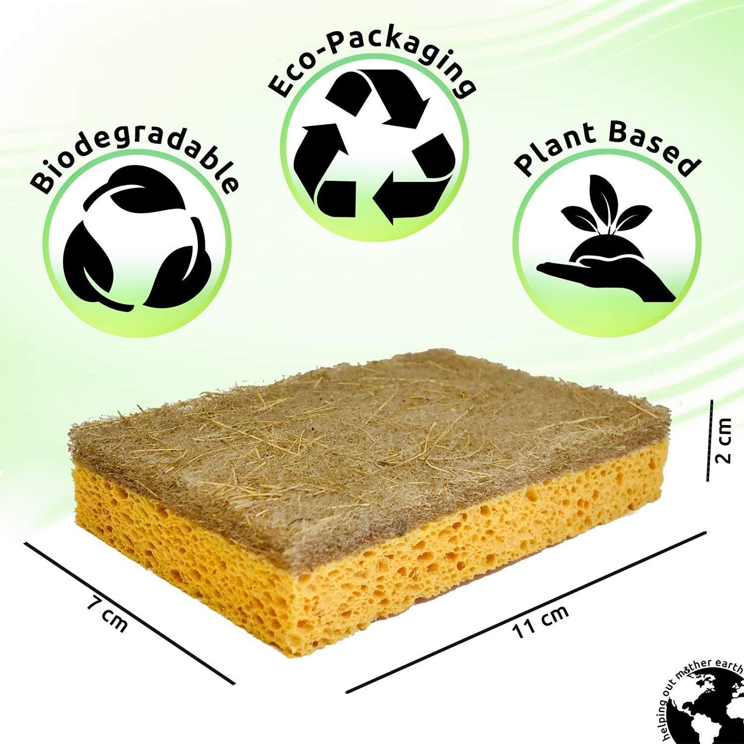 Natural Sponge 10 Pack - Eco-Friendly Kitchen Sponge | Biodegradable ...