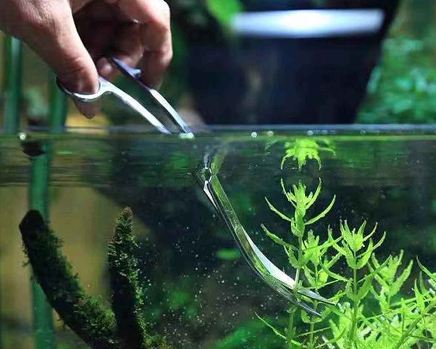 Shop Stainless Steel 25cm Curved Aquarium Plant Scissors - Wave Scissors for Aquascaping & Fish ...