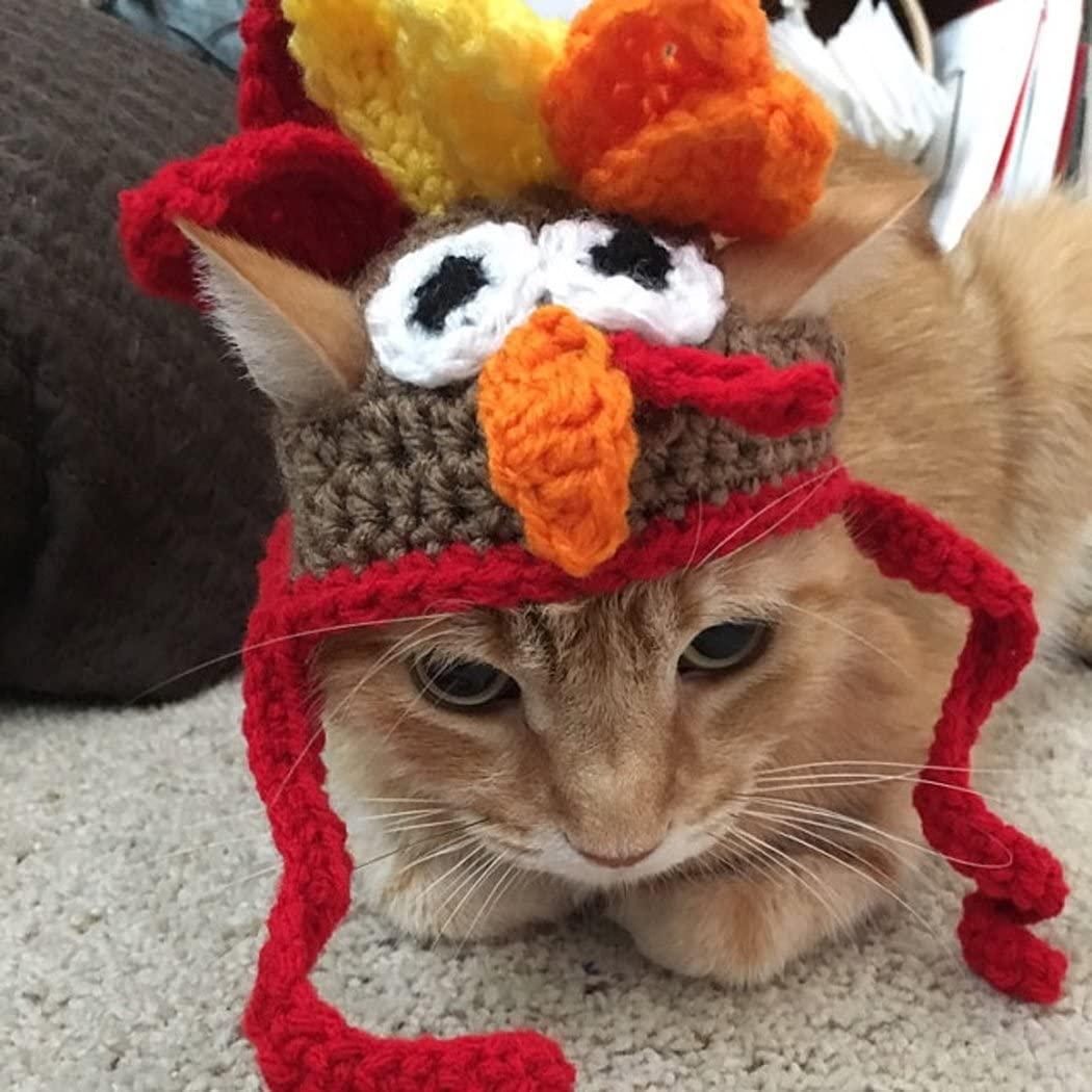 Turkey Cat Costume