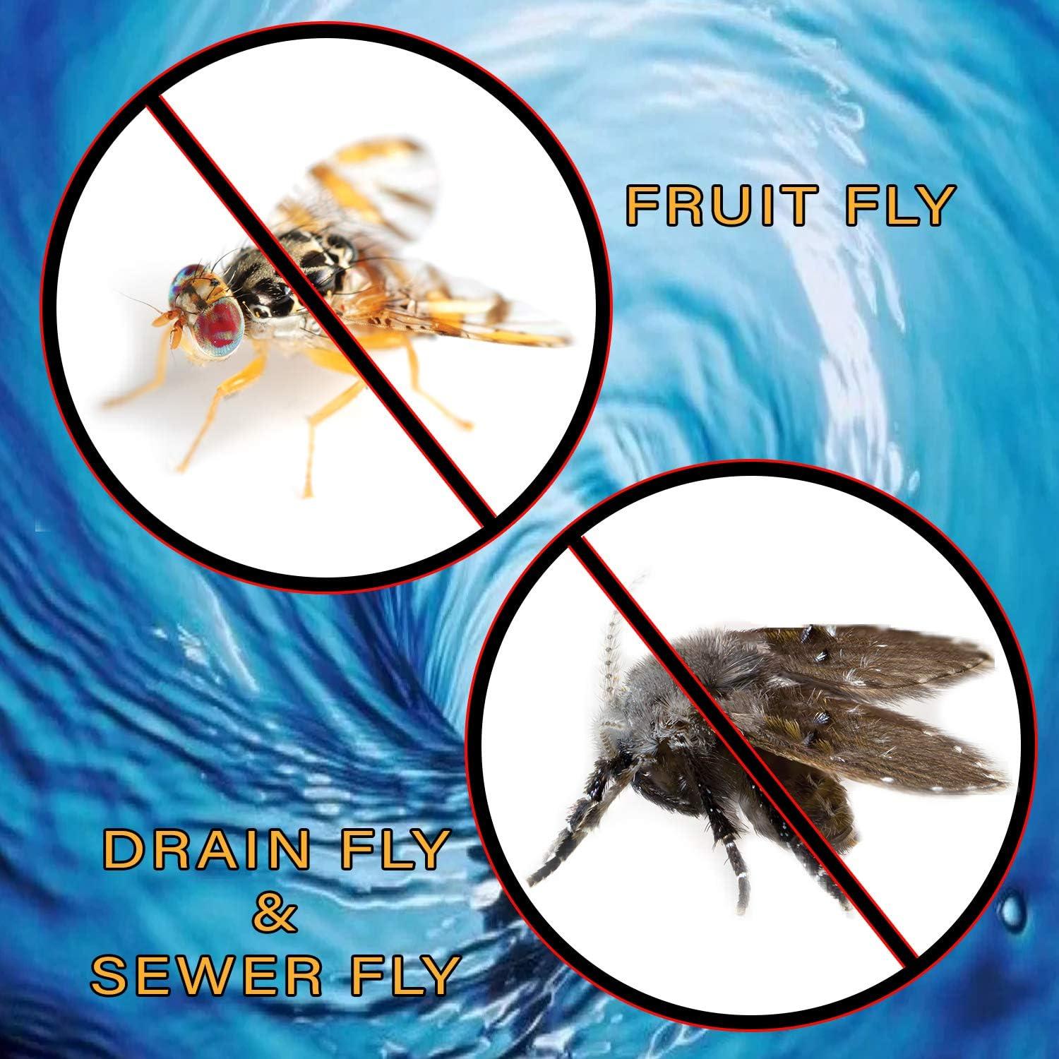 Fruit Fly & Drain Fly Killer - Commercial Drain Gel Treatment - 1 ...