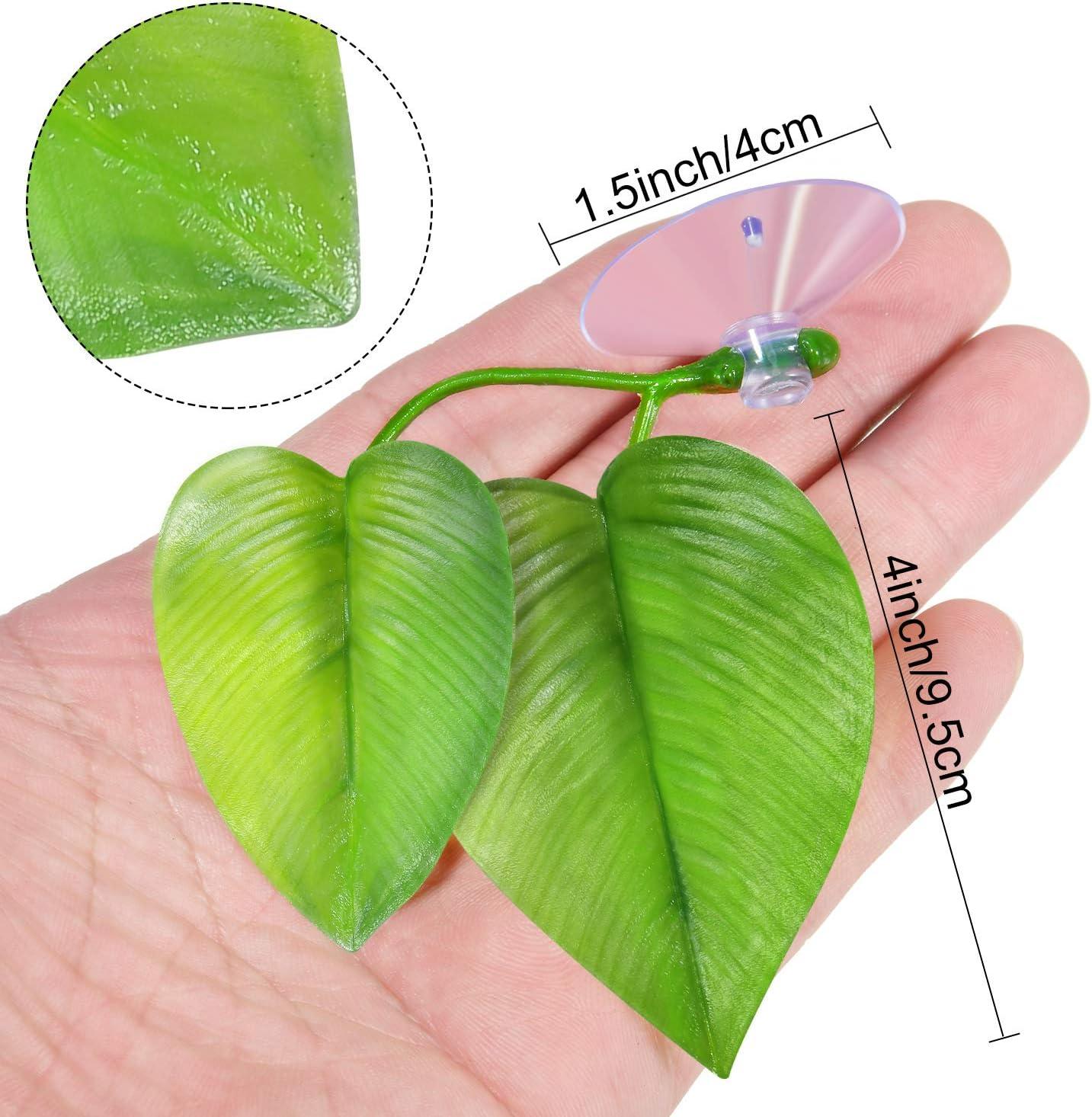 Betta Fish Hammock - 4-Piece Double Leaf Set for Safe and Comfortable ...