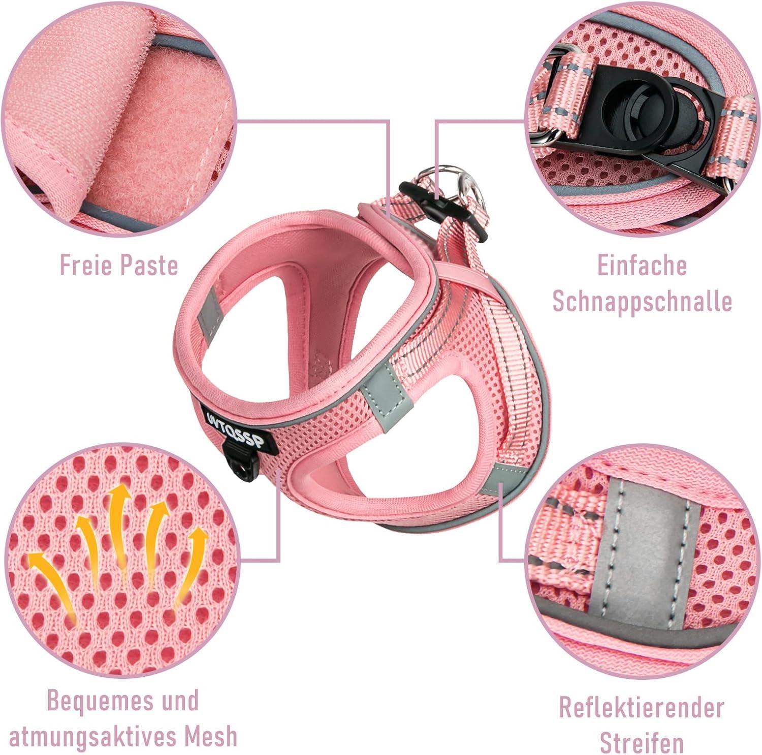 Buy Pink Padded Dog Harness for Small Dogs - Comfortable & Stylish ...