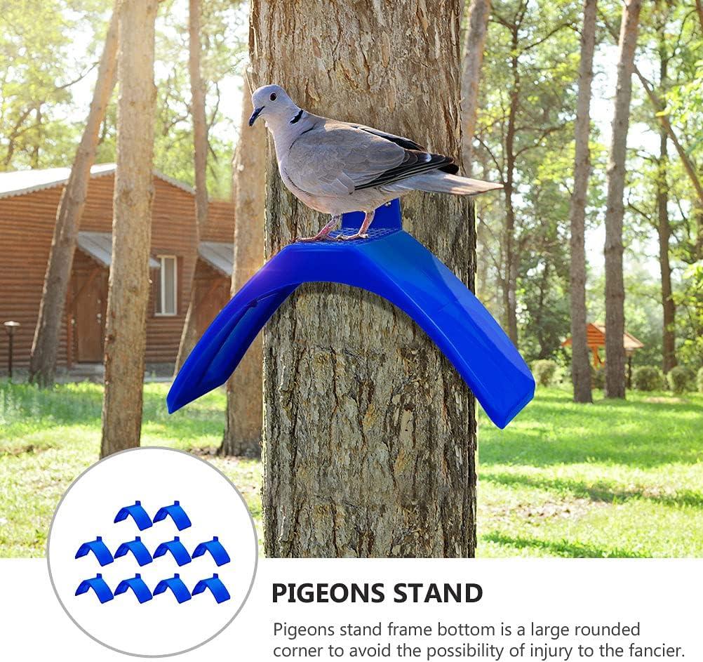 iplusmile Plastic Pigeon Perches Set - 20pcs Blue Rest Stands Frames ...