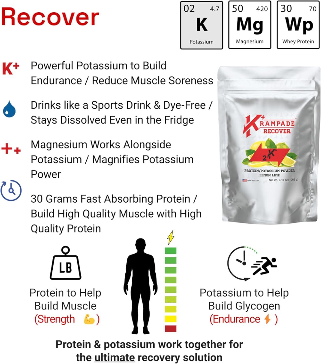Buy Whey Protein Electrolytes Powder - 30g Protein 7g BCAA 2000mg ...