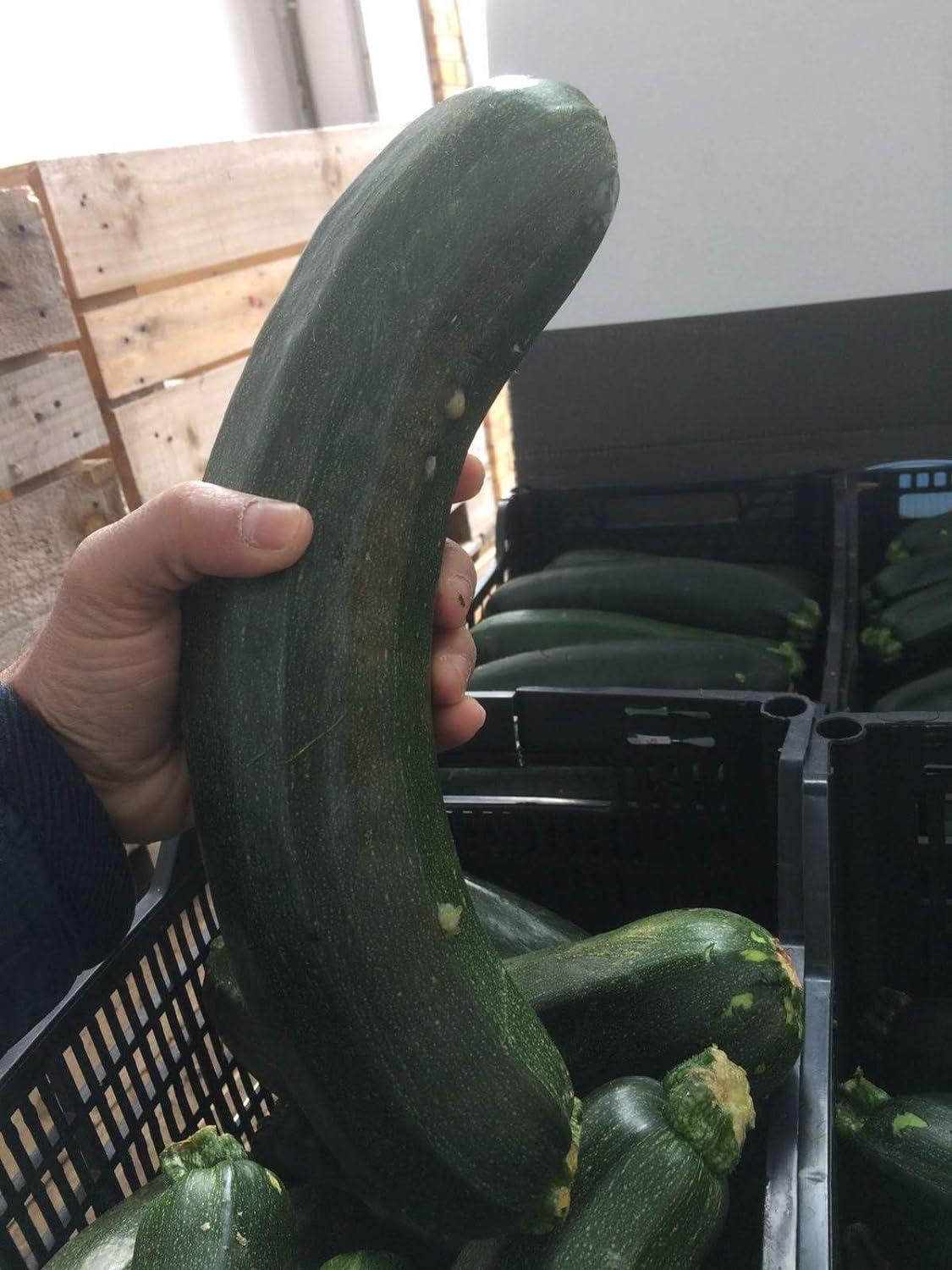 Nim's Air Dried Kids Courgette Box Set (15 X 12g Packs) - Crisps ...