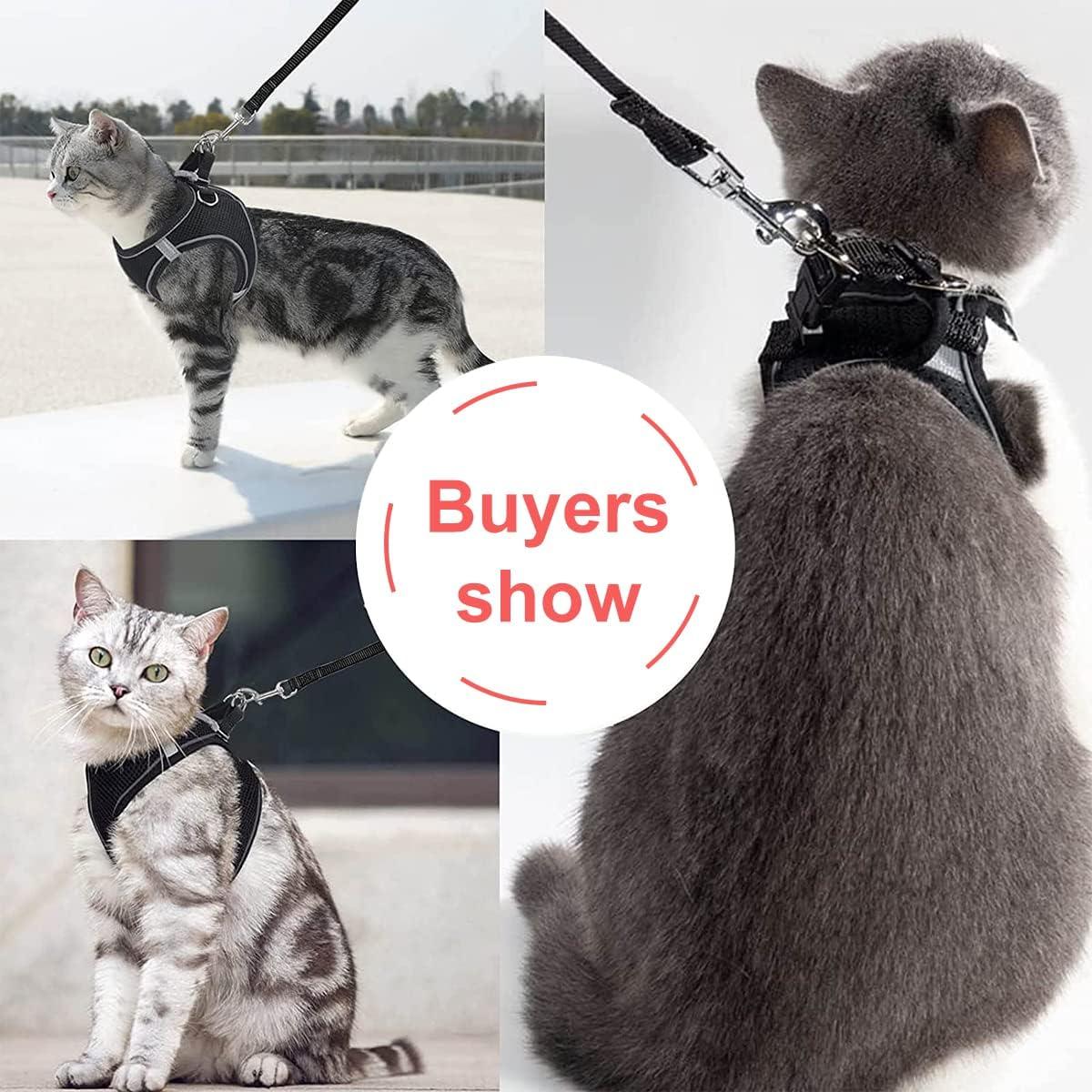 Cat Dishes Set with Leash | Breakout Cat Feeders for Kittens & Puppies ...