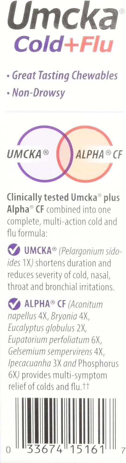 Nature's Way Umcka Cold + Flu Orange Chewables - 20 Tablets | Buy Now ...