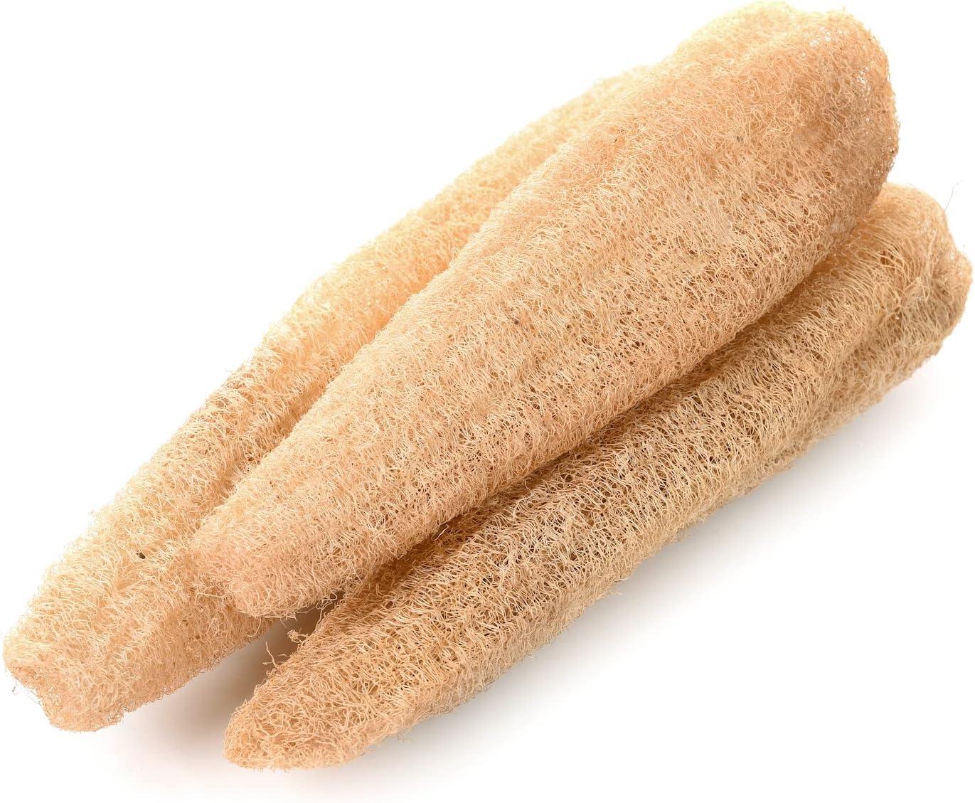 3 Pack Natural Loofah Exfoliating Body Sponges - Eco-Friendly ...