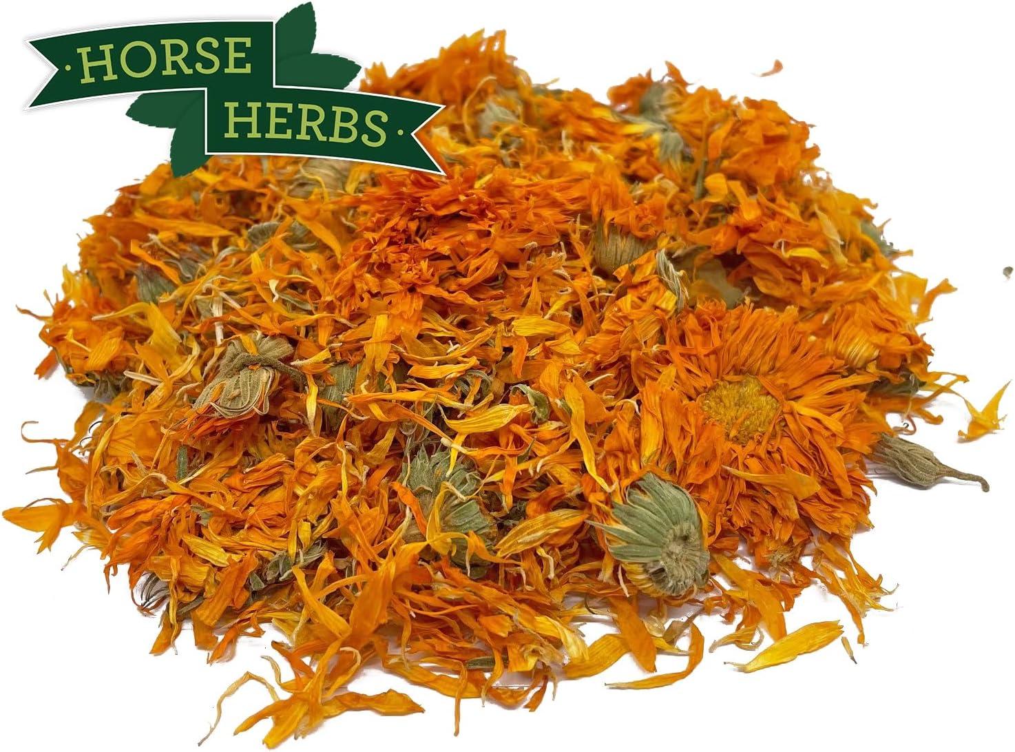 Horse Herbs Marigold Flowers - Calendular Equine Pony herb for Horses ...