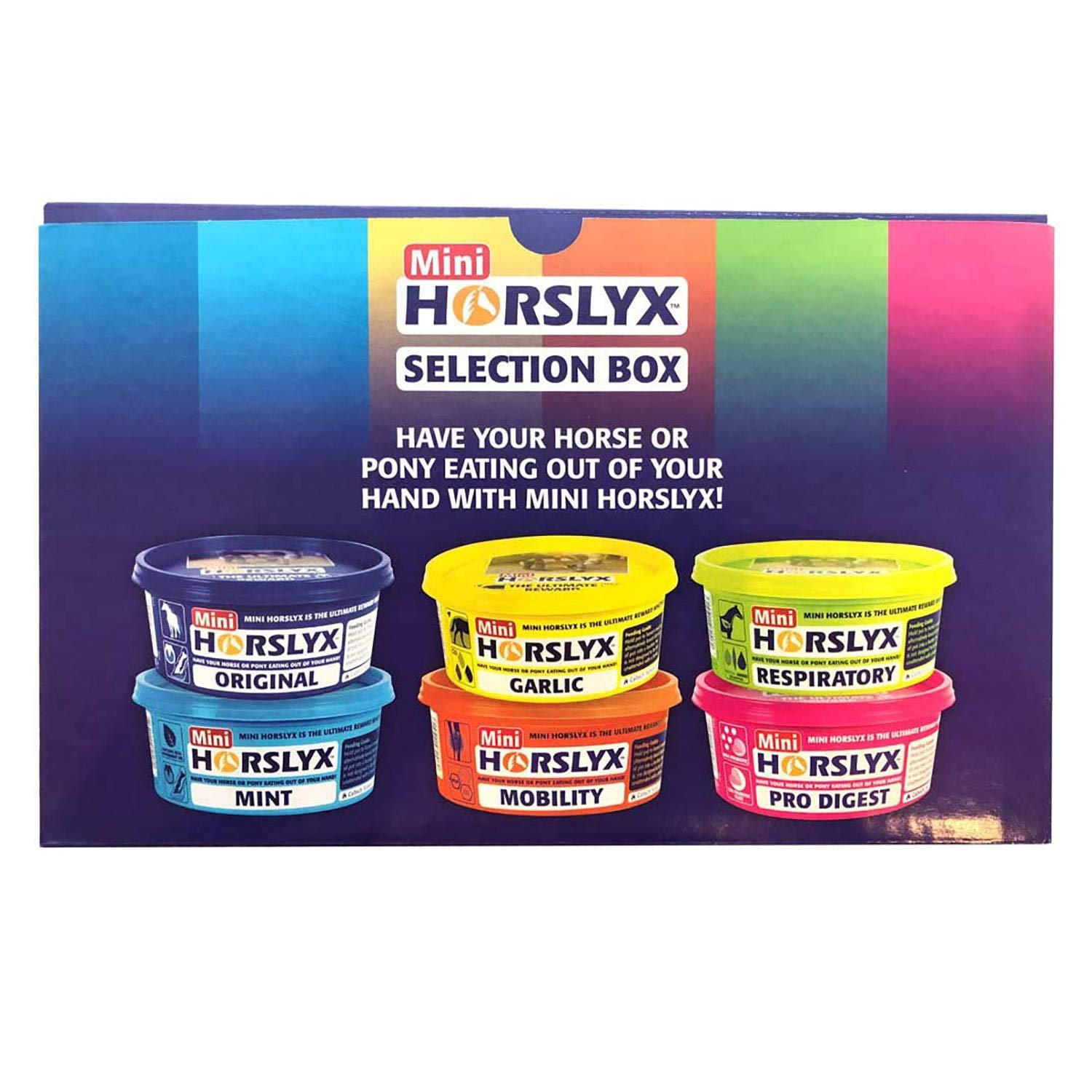 Horslyx Rainbow Mixed Mini 6x650g | Buy Now with Express International ...