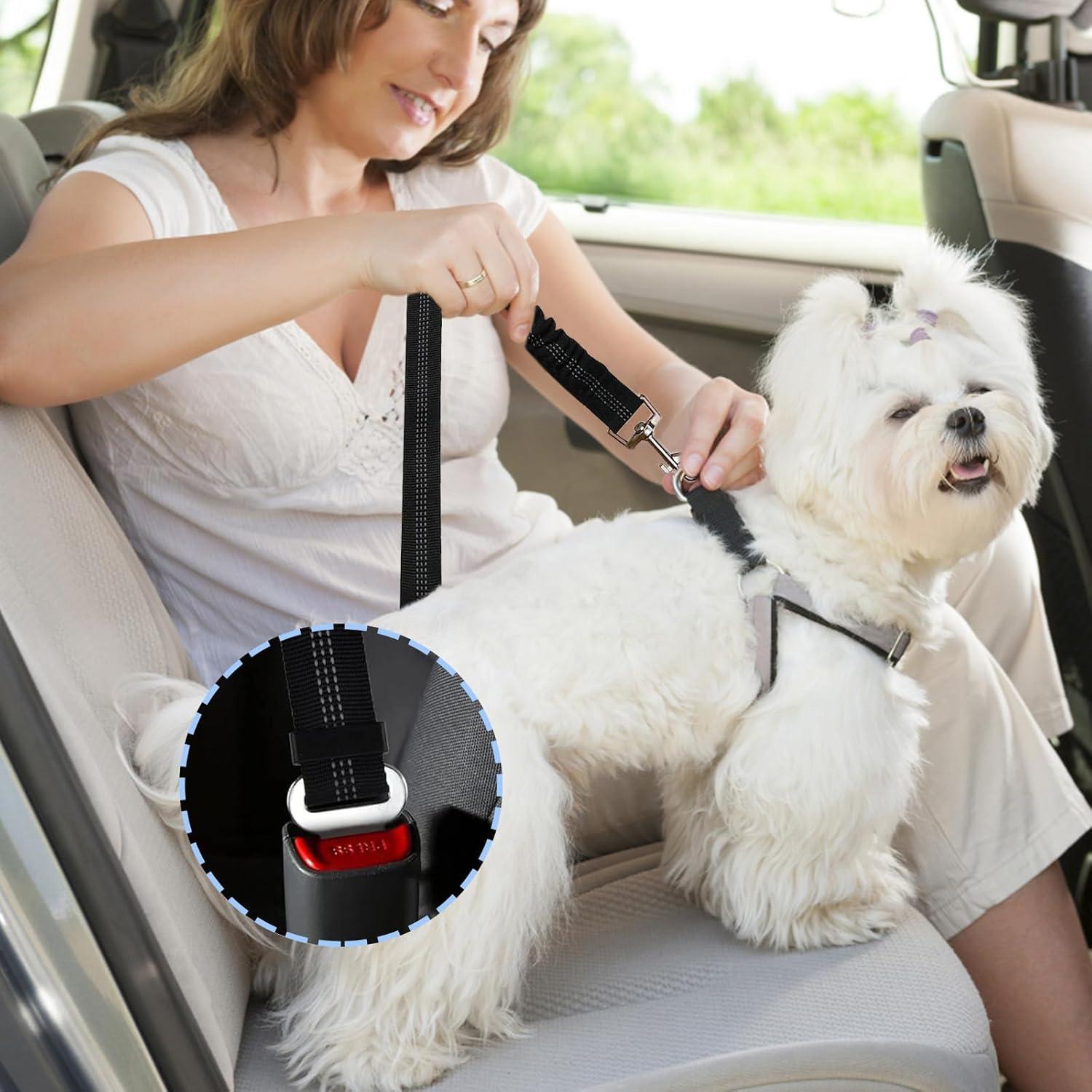 Diompirux 2-Pack Premium Dog Ringing Belt & Safety Harness - Adjustable ...