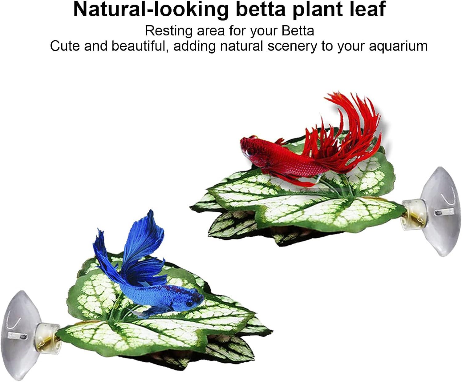 Betta Fish Hammock | Green Leaf Bed for Betta Fish | Perfect Aquarium ...