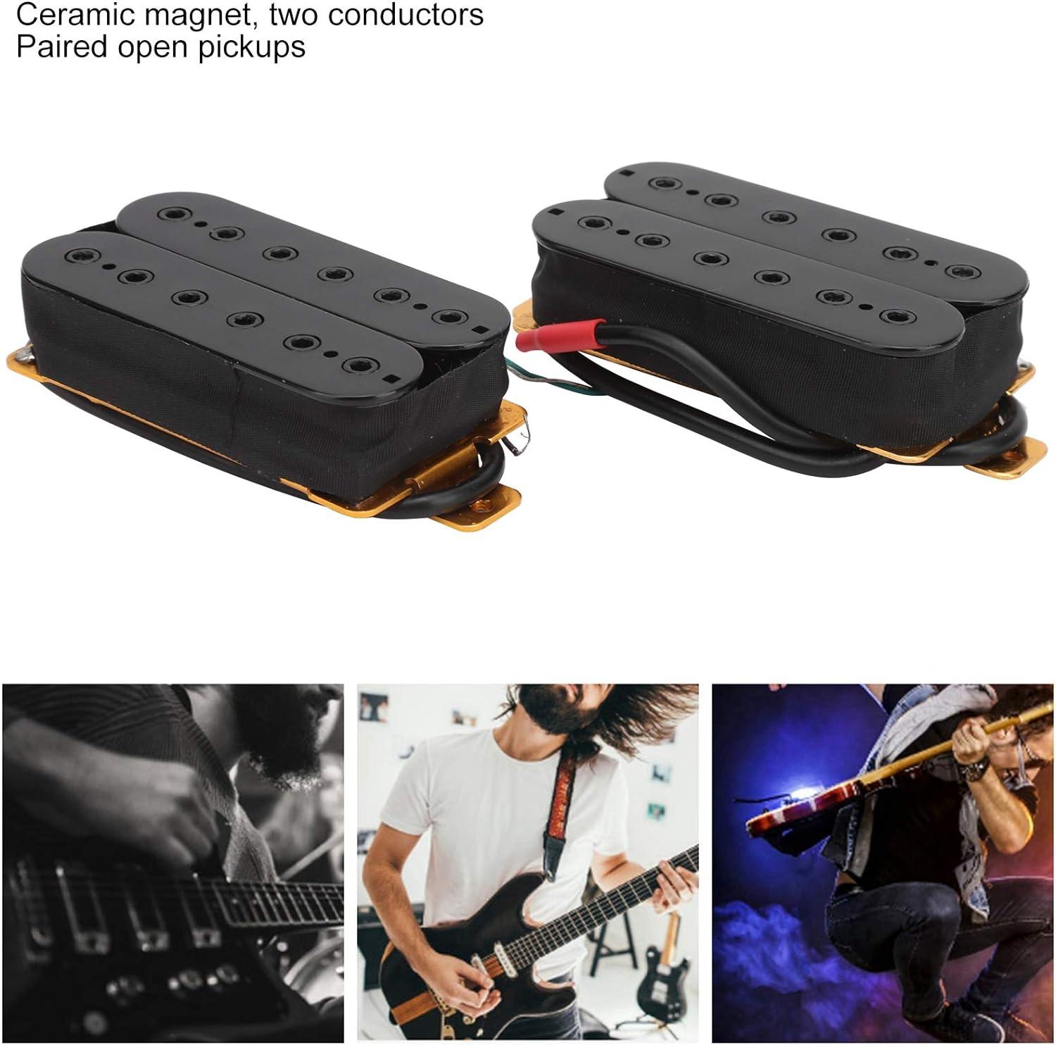 electric guitar pickups:Electric Guitar Pickup Double guitar ...