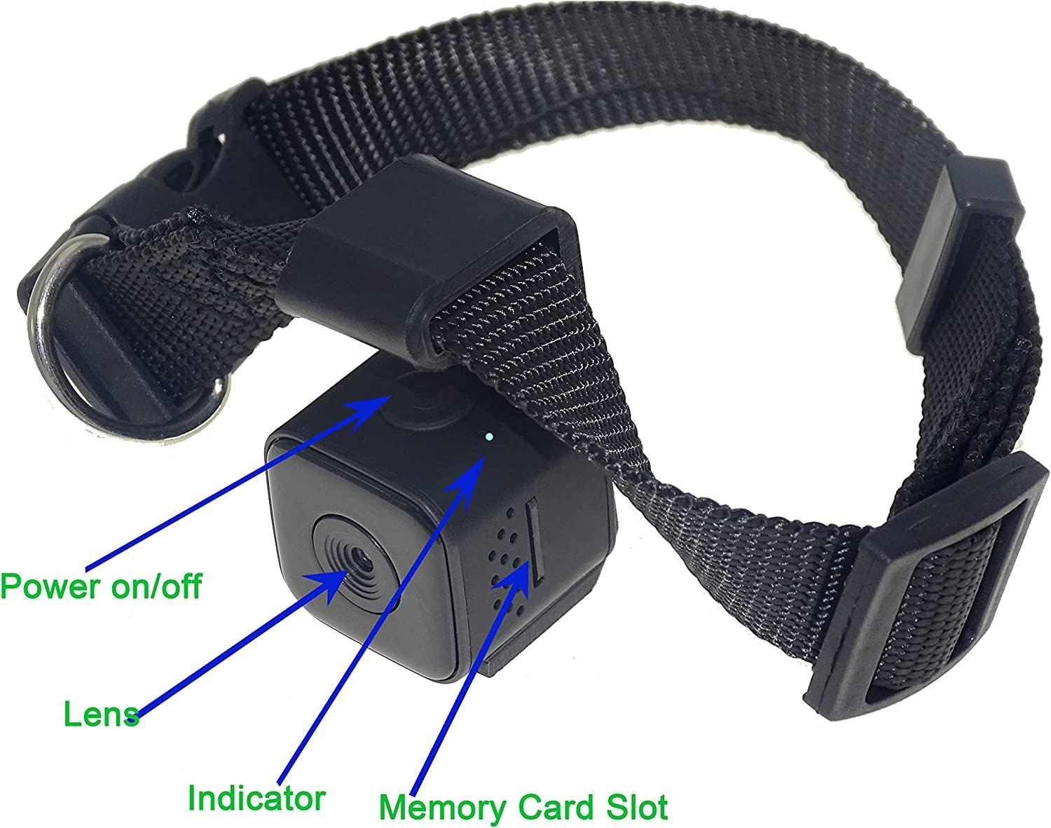 Pet Collar Cam DVR: Video Recorder & Monitor for Dogs, Cats, and ...