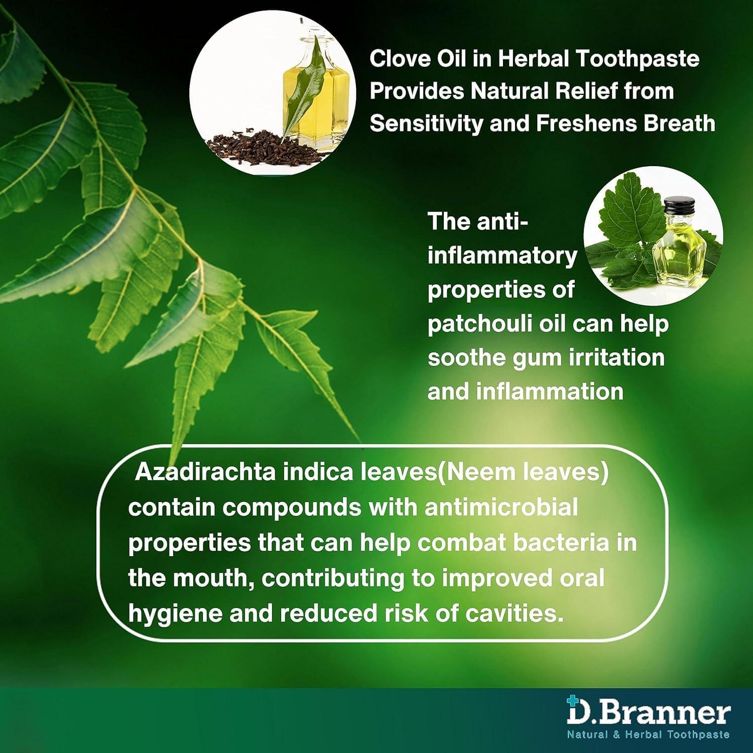 Herbal Natural Toothpaste - Fluoride Free Neem & Clove Vegan Formula ...