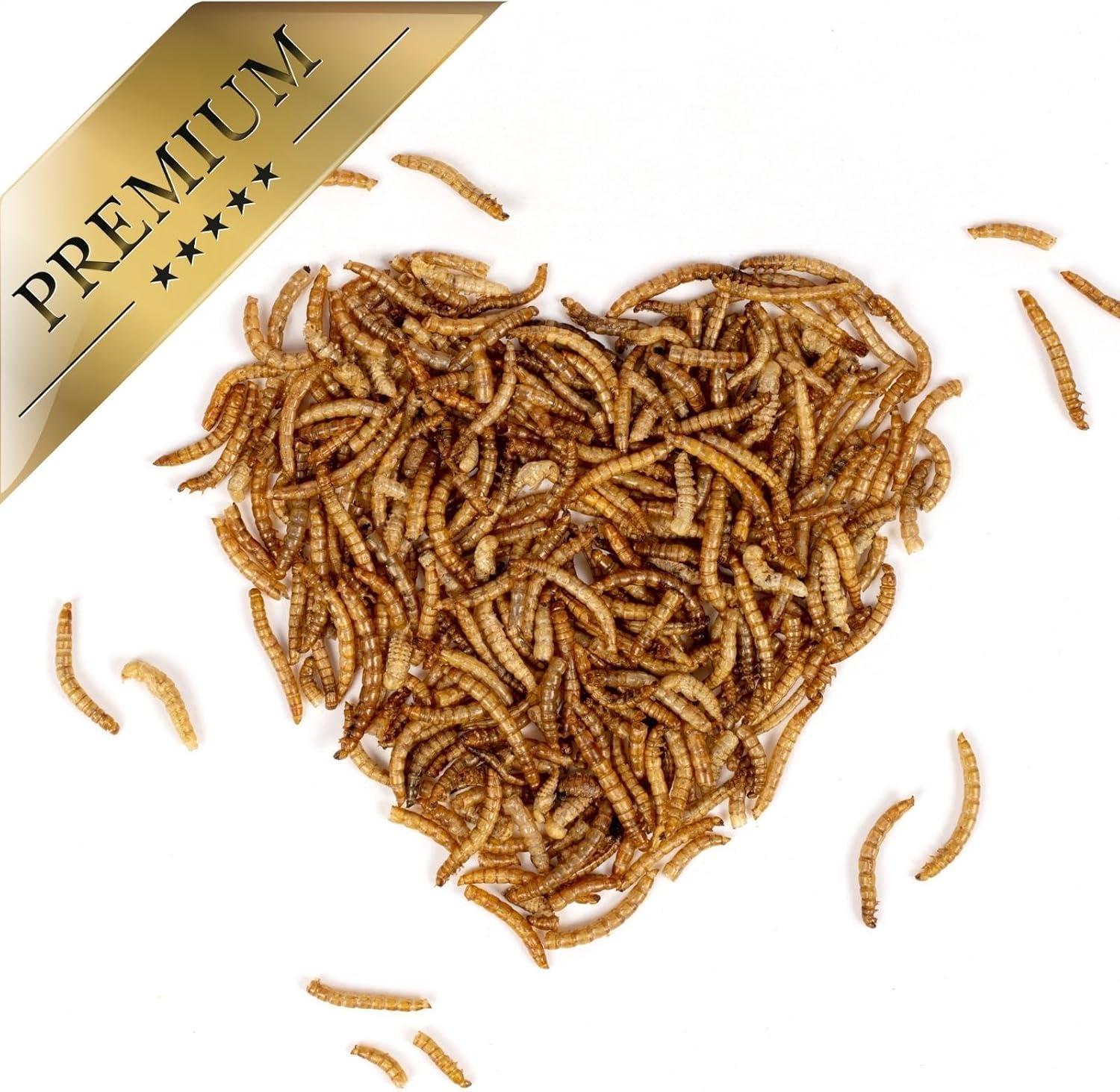 Lyra PET 10L Dried Mealworms | High-Protein Natural Food for Birds ...