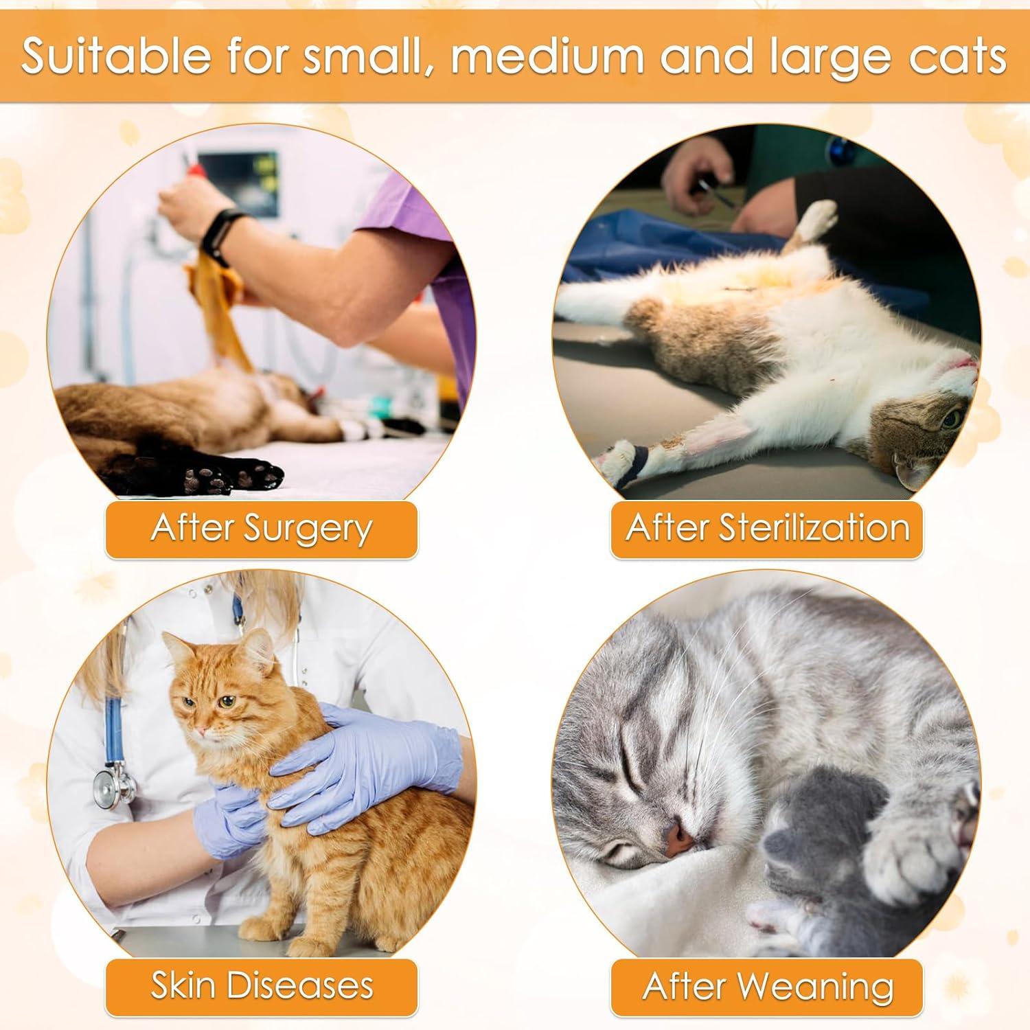Pumyporeity Recovery Suit for Cats - Professional Post-Op Wound ...