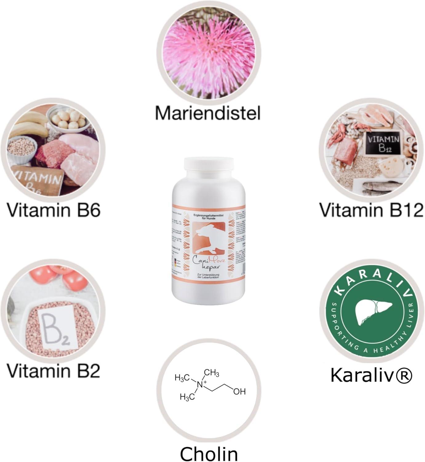 Canimove Hepar - 200 Tablets for Liver Protection | Innovative ...