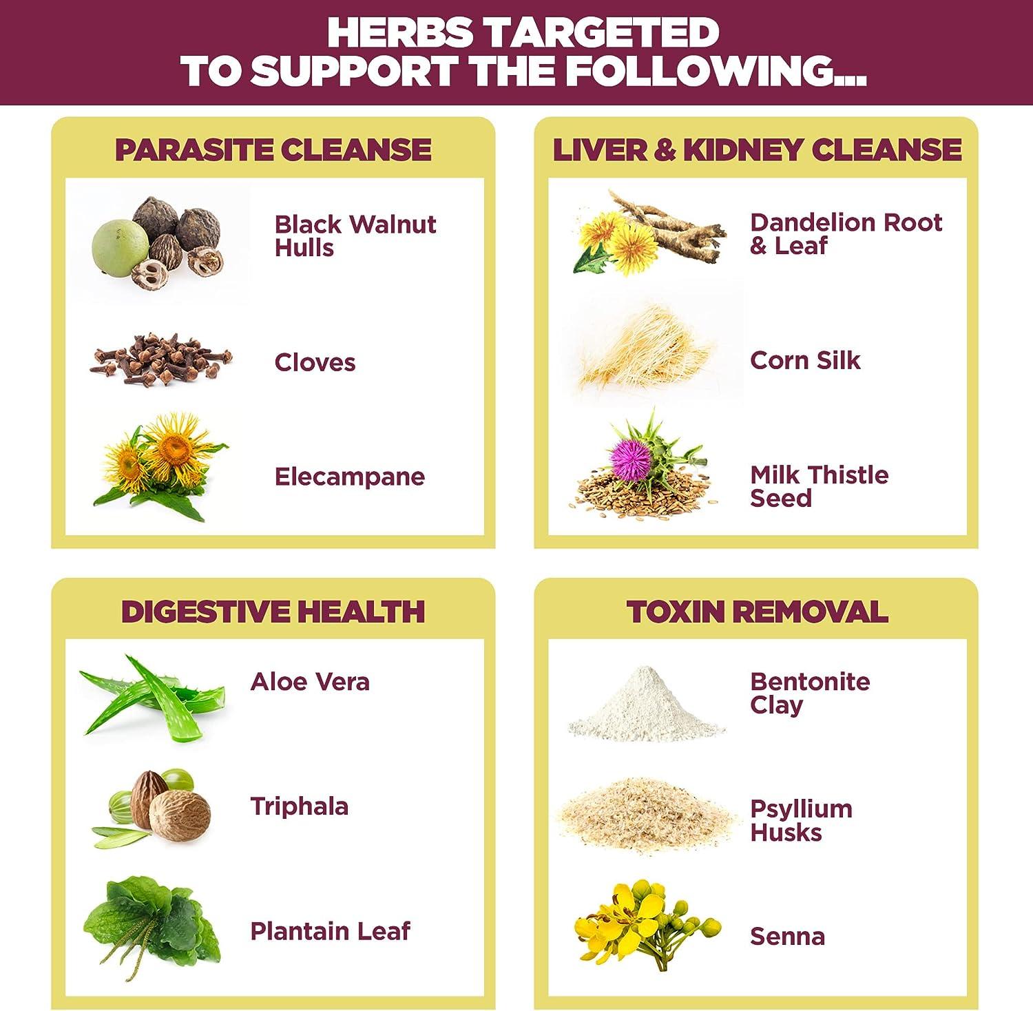 Yerba Prima Women's Renew Internal Cleansing Program - 30 Day Program ...