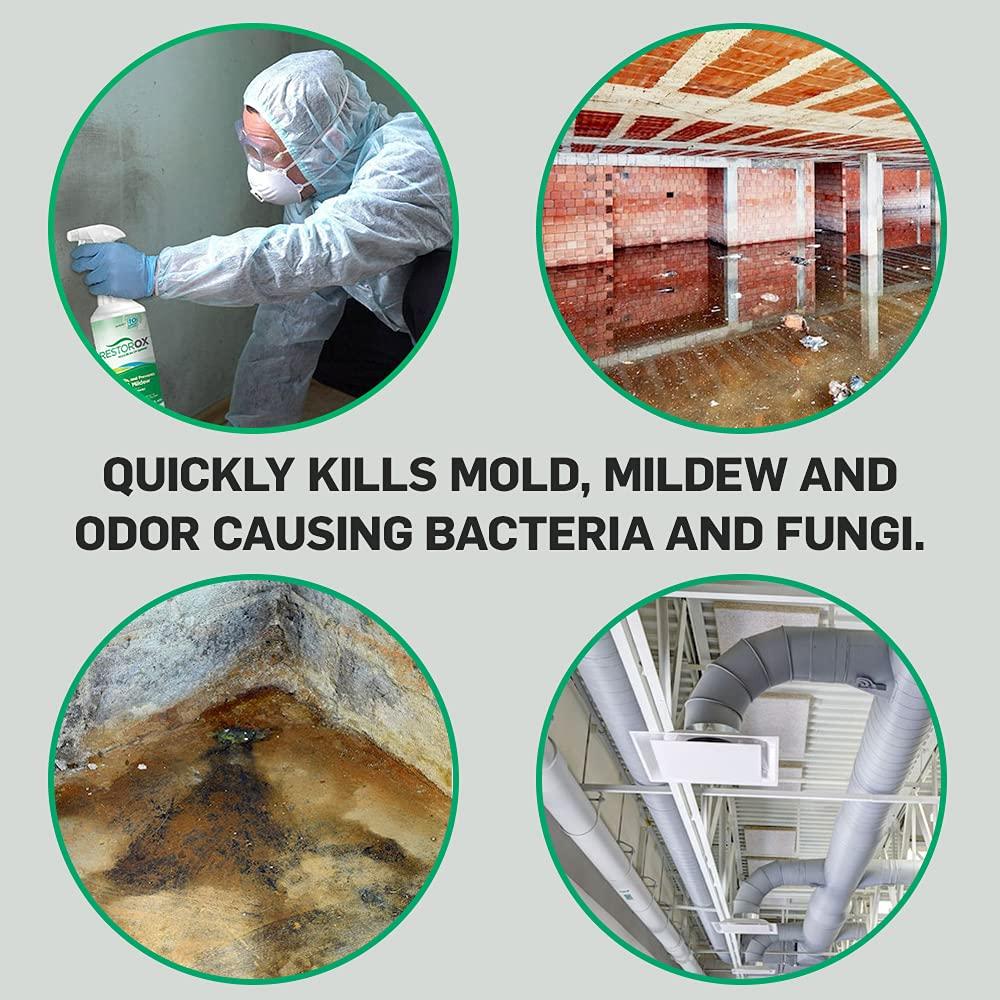RestorOx 20105 One Step Disinfectant Cleaner & Deodorizer 1-Gallon ...