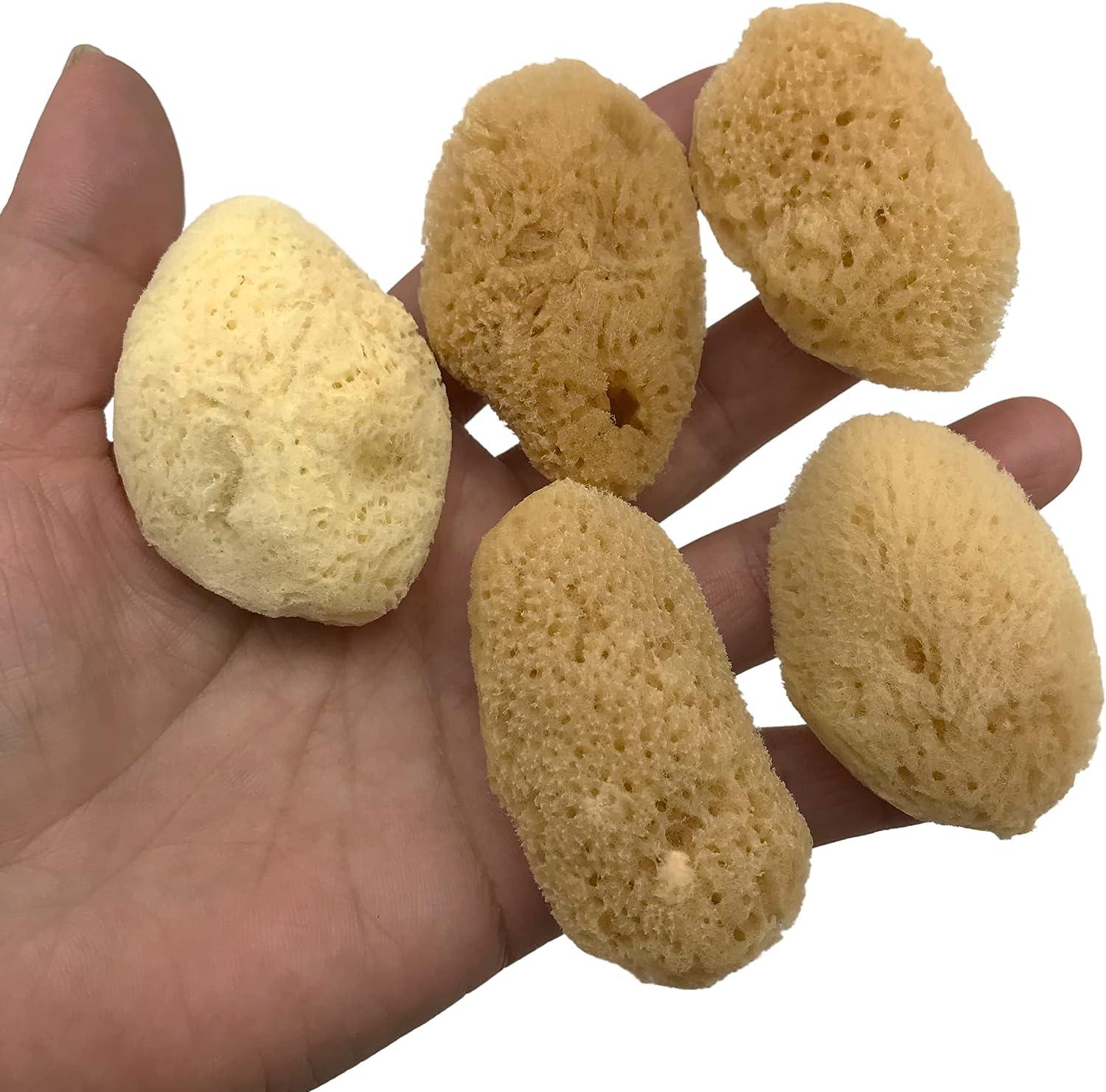 PEPPERLONELY 8PC Natural Silk Facial Sea Sponges Set - Ideal for Body ...