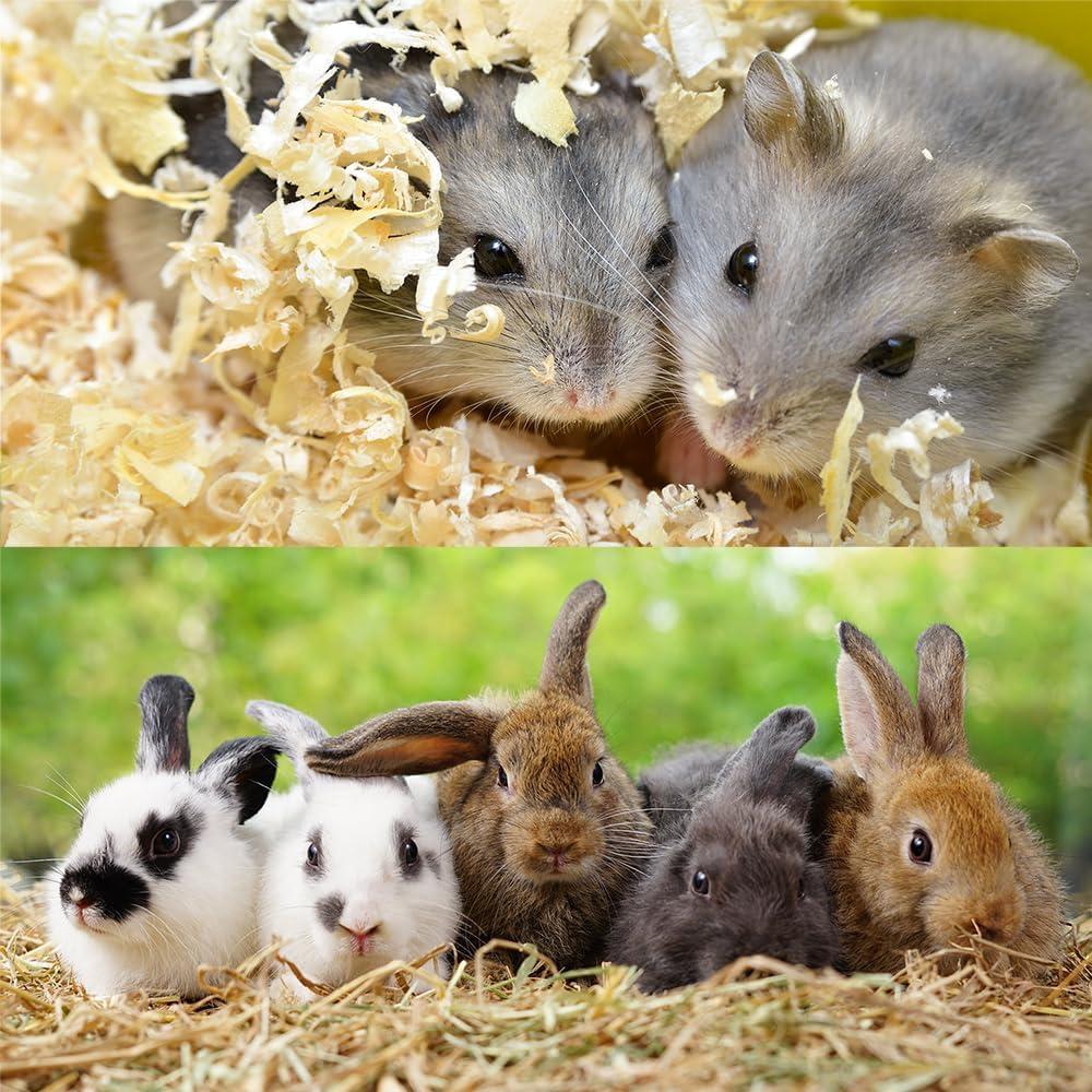 PremiumSpan Small Animal Litter - 60L Wood Shavings for Pets | 3.5kg ...