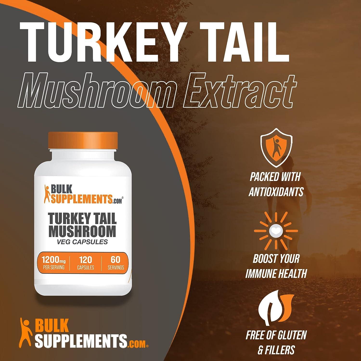 BulkSupplements Turkey Tail Mushroom Capsules - Coriolus Versicolor ...