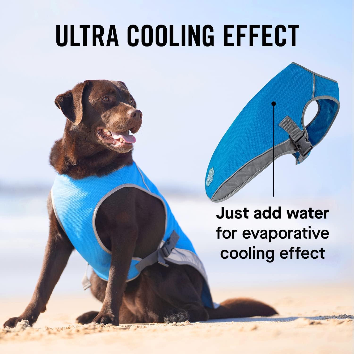 Canada Pooch Dog Cooling Vest - Breathable Mesh, Reflective Lining ...