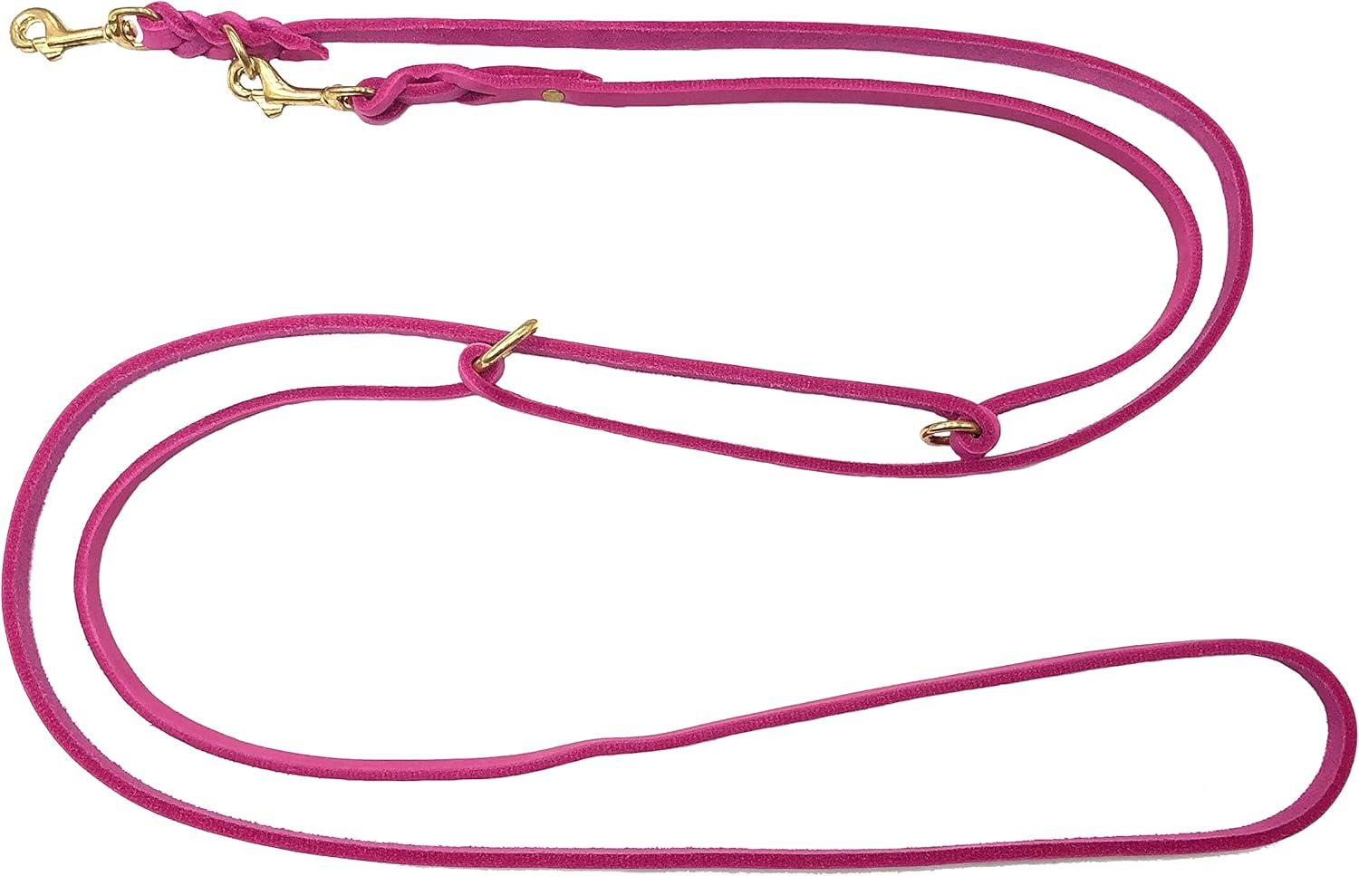 Buy Dogeline Fat Leather & Brass Leash for Small & Large Dogs ...