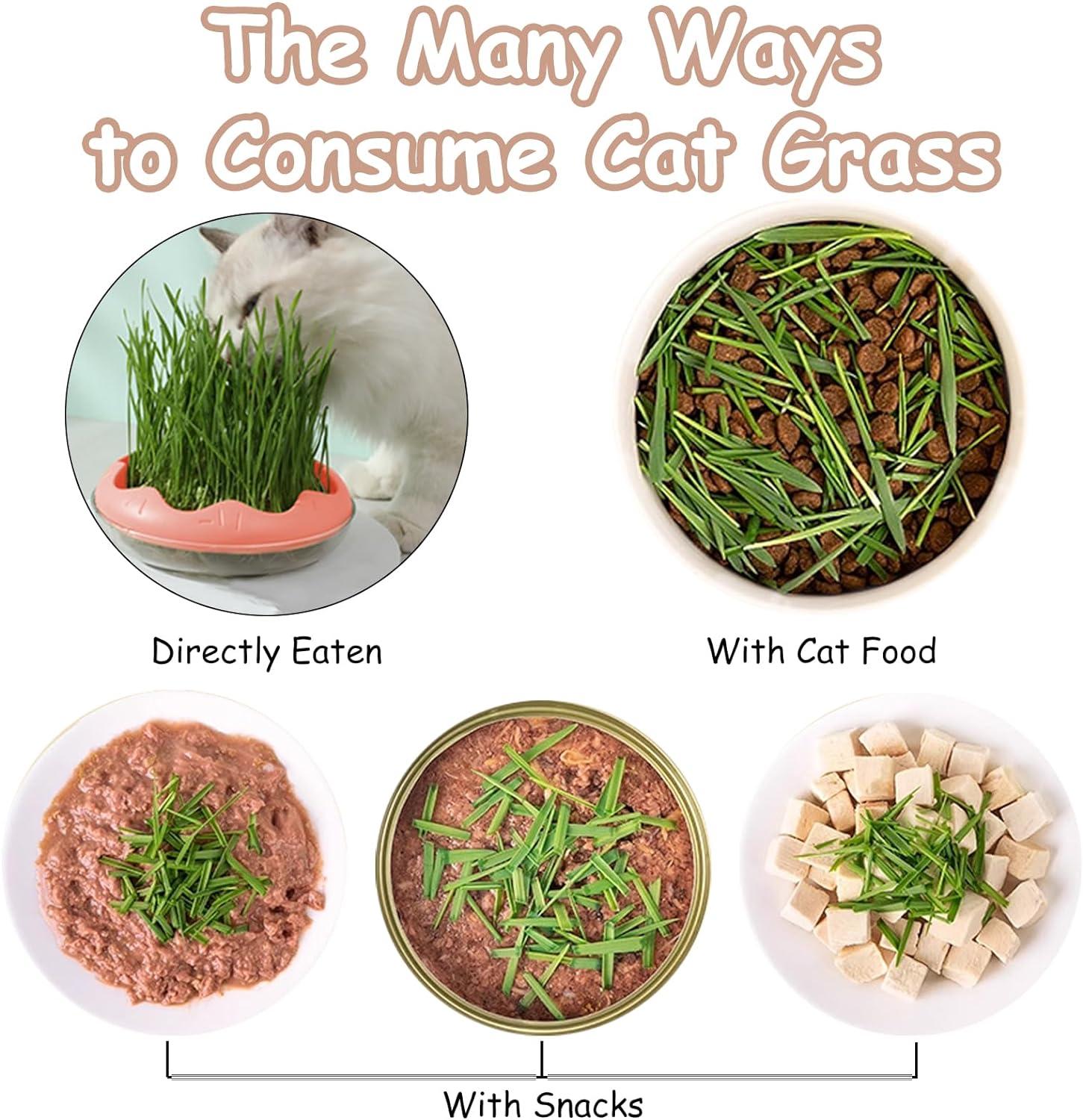 KASESSS Cat Grass Planter Soil Free Hydroponic Cat Grass Tray Round ...