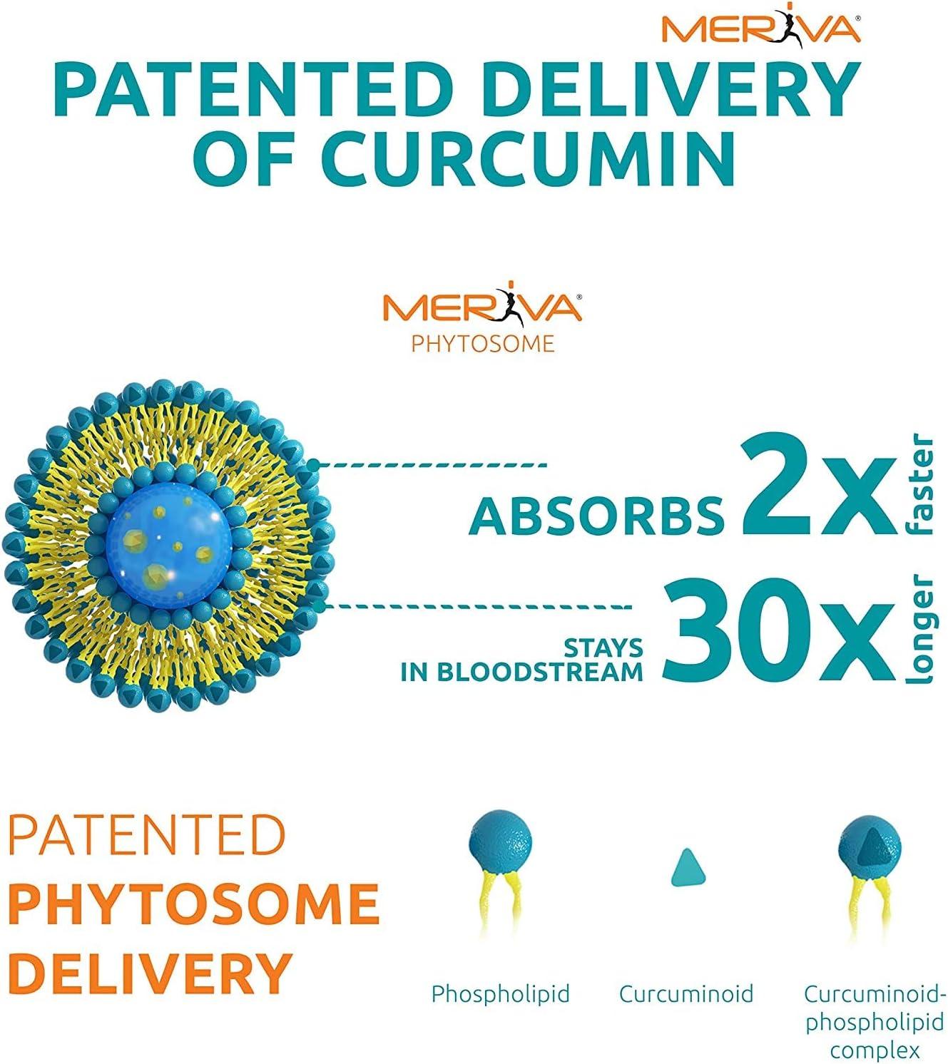 Source Naturals Turmeric with Meriva 500mg - Healthy Inflammatory ...