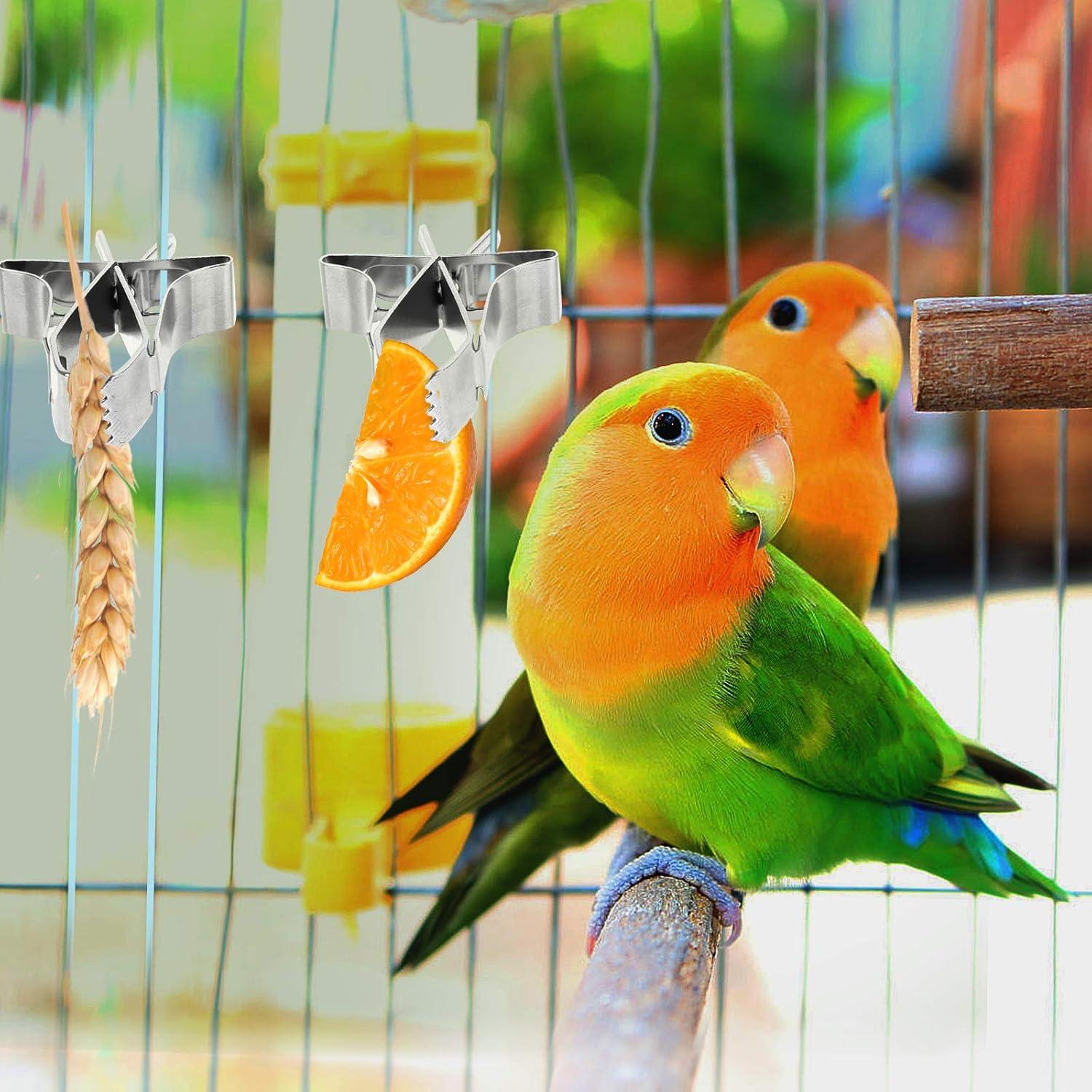 Parrots Fruit & Vegetable Feeder Clip - 5-Pack Metal Bird Cage ...