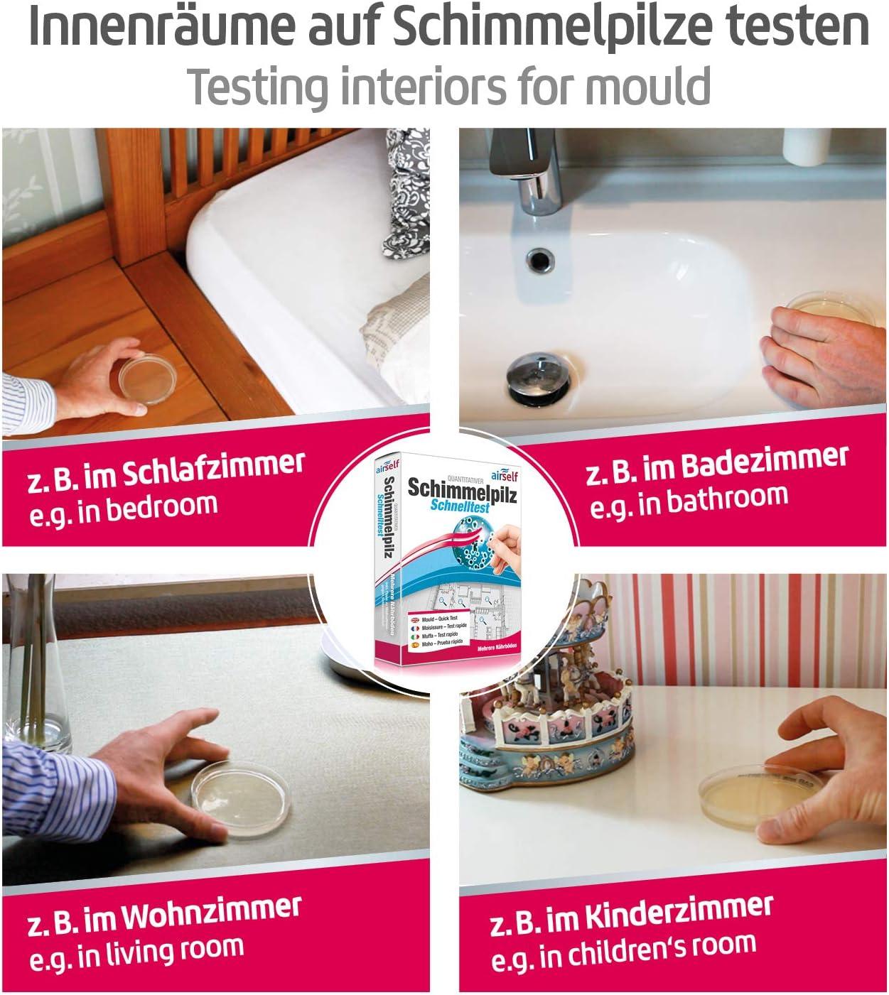 Mold Test Kit for Up to 12 Rooms Rapid Indoor Mold Contamination ...