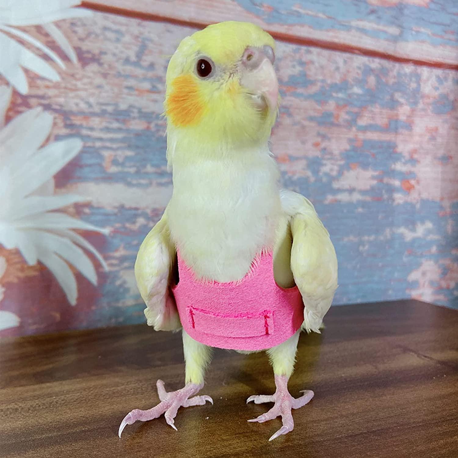 QBLEEV Medium Pink Bird Flight Harness Vest with Leash - Parrot Flight ...