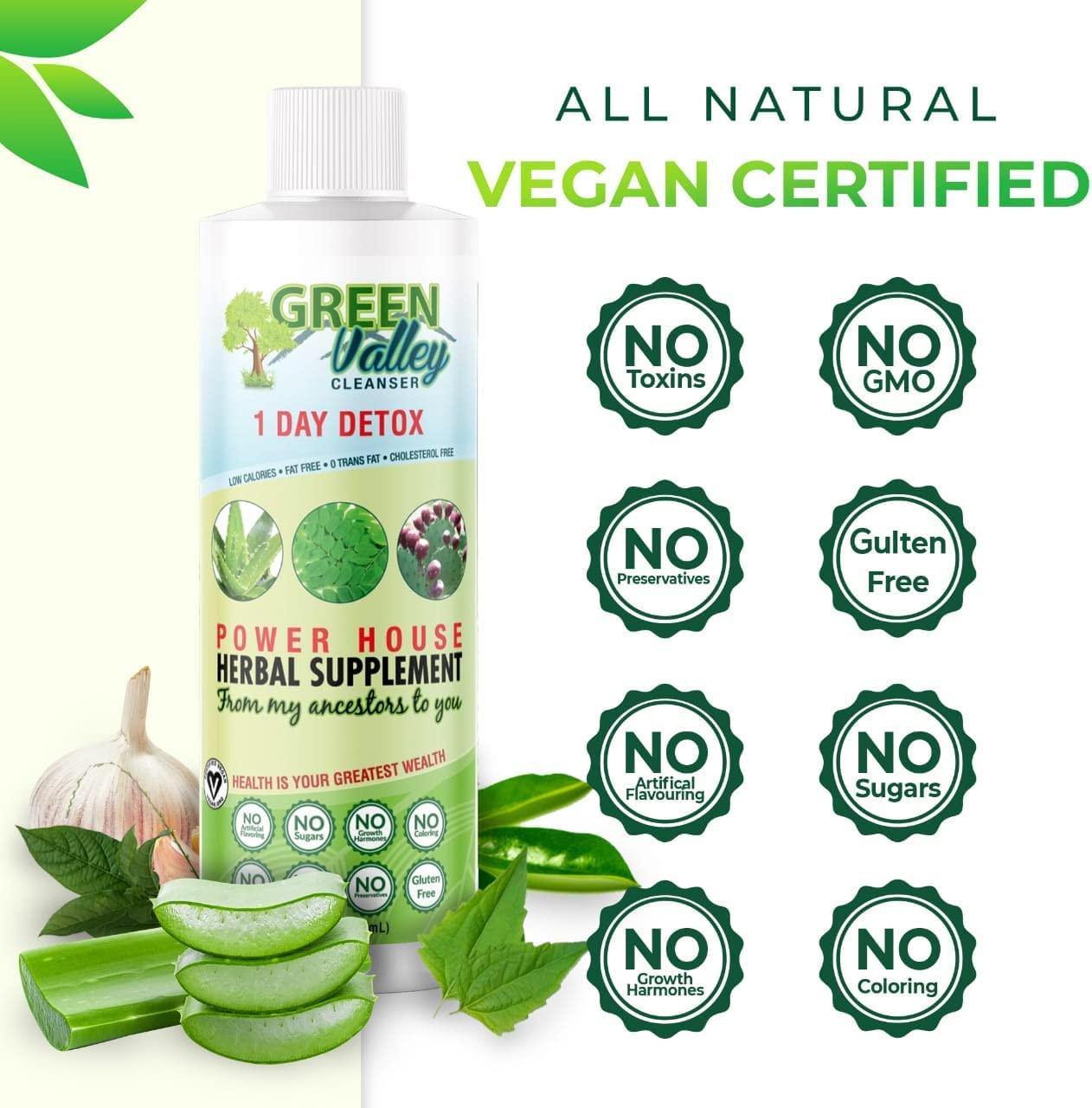 1 Day Colon Cleanse & Liver Detox | Vegan Gut Support & Energy Boost ...