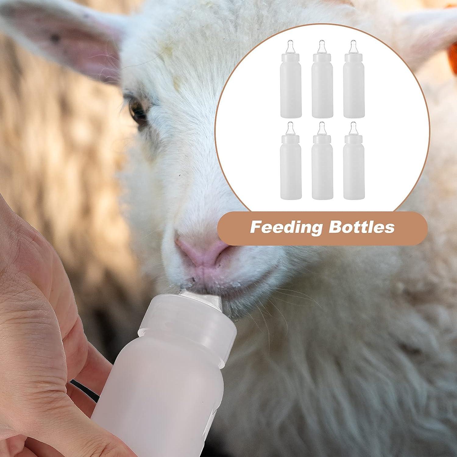 6pcs 250ml Calf Feeding Bottles | Lamb Goat Milk Feeder Set | Baby ...