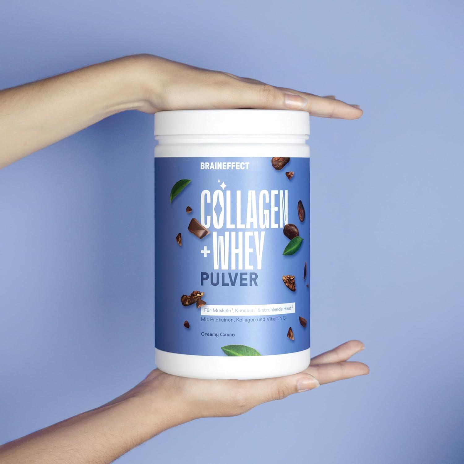 BRAINEFFECT PROTEIN+ | Sugar-Free Whey Protein Powder | Regeneration ...