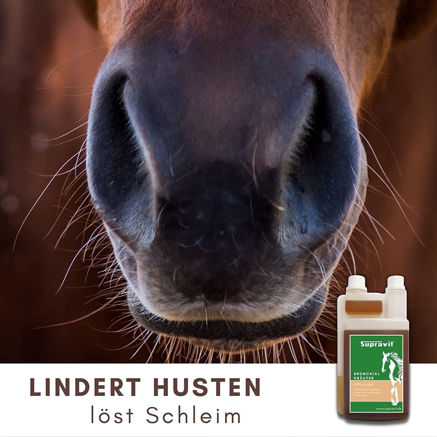 Supravit Bronchial Herbs for Horses | 1000ml Liquid Herbal Mixture ...
