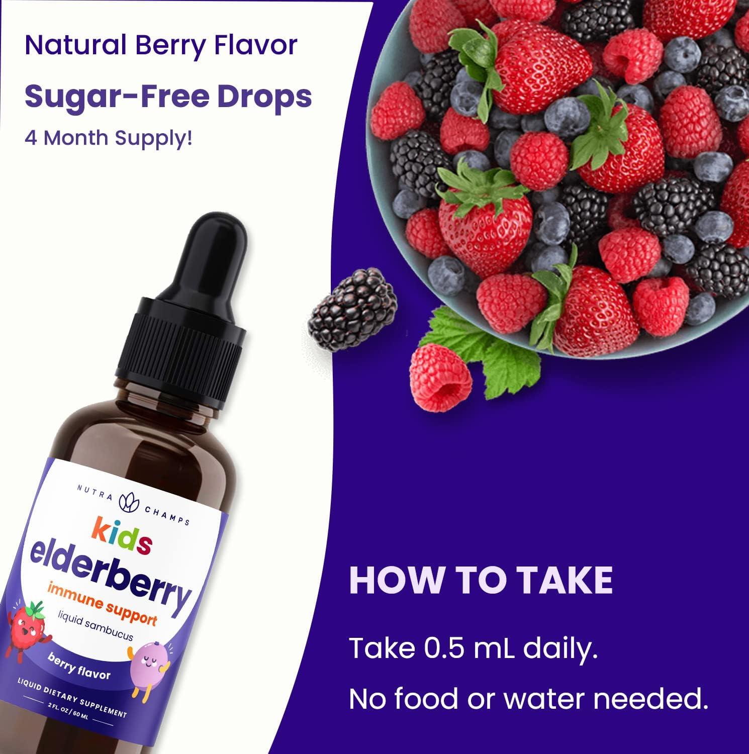 Kids Black Elderberry Liquid Drops | Sugar-Free Sambucus Syrup | Immune ...