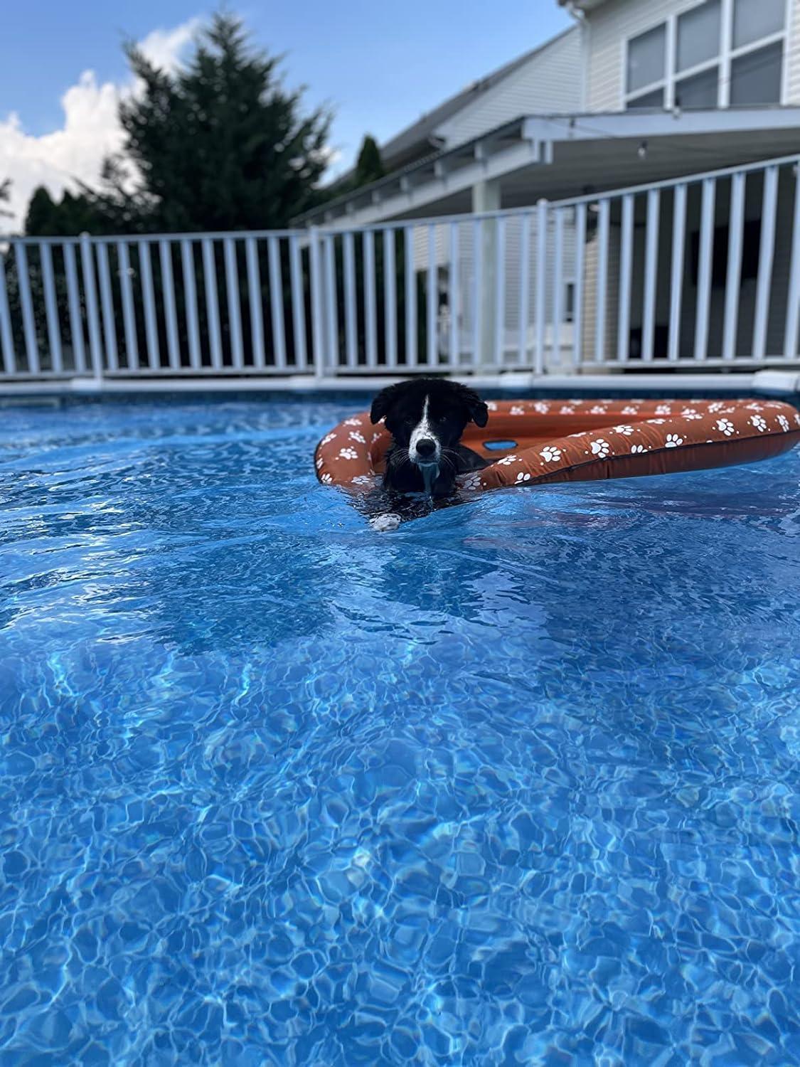 Vercico Inflatable Pool Float for Dogs and Puppies Large Contemporary ...