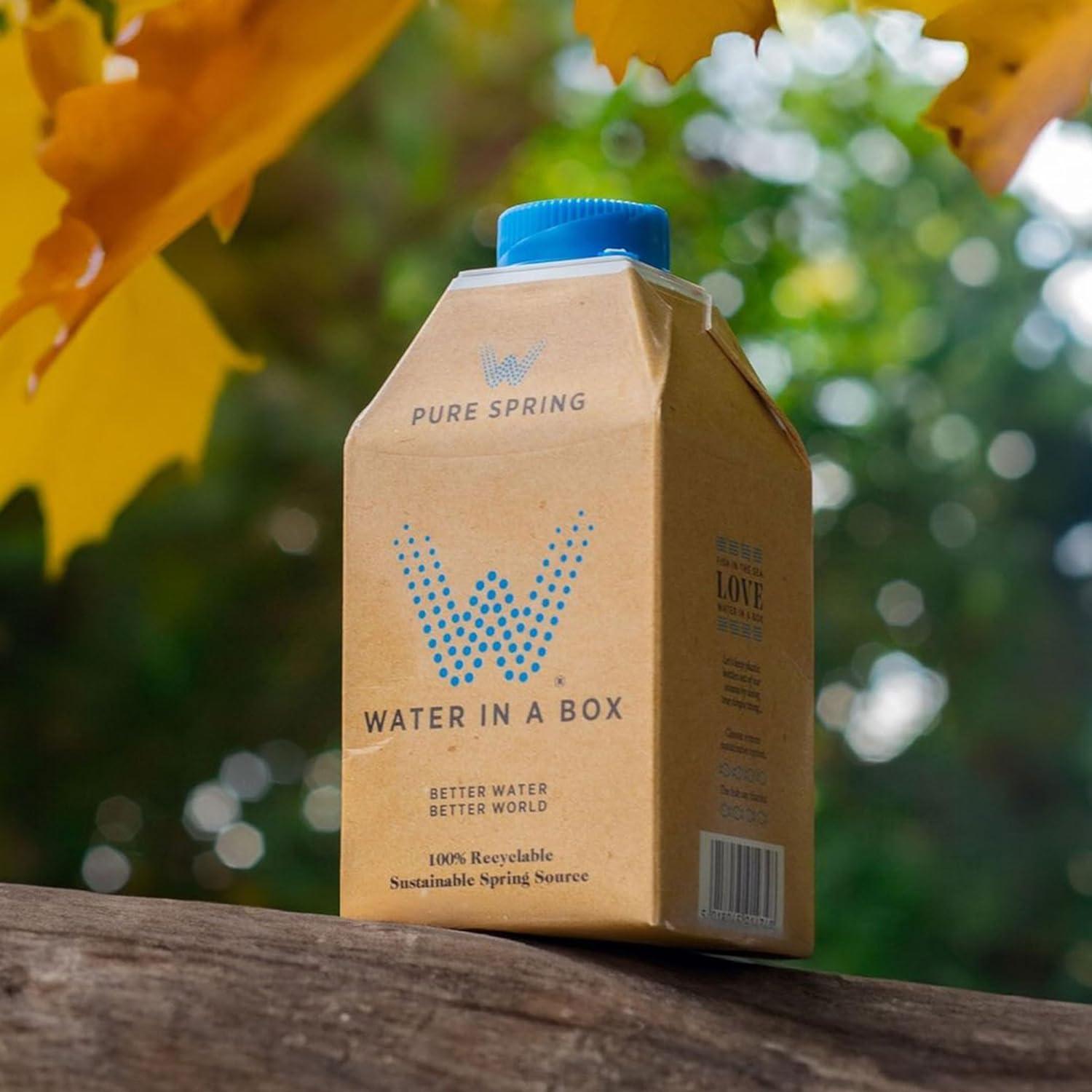 Water in a Box Flavoured Pure Spring Water 12 x 500ml Cartons | 100% ...