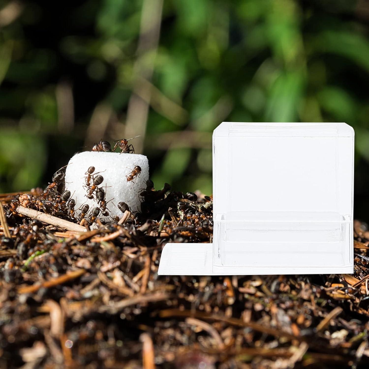 BCOATH 2pcs Ant Water Feeder Pet Water Bowl Portable Water Dispenser ...