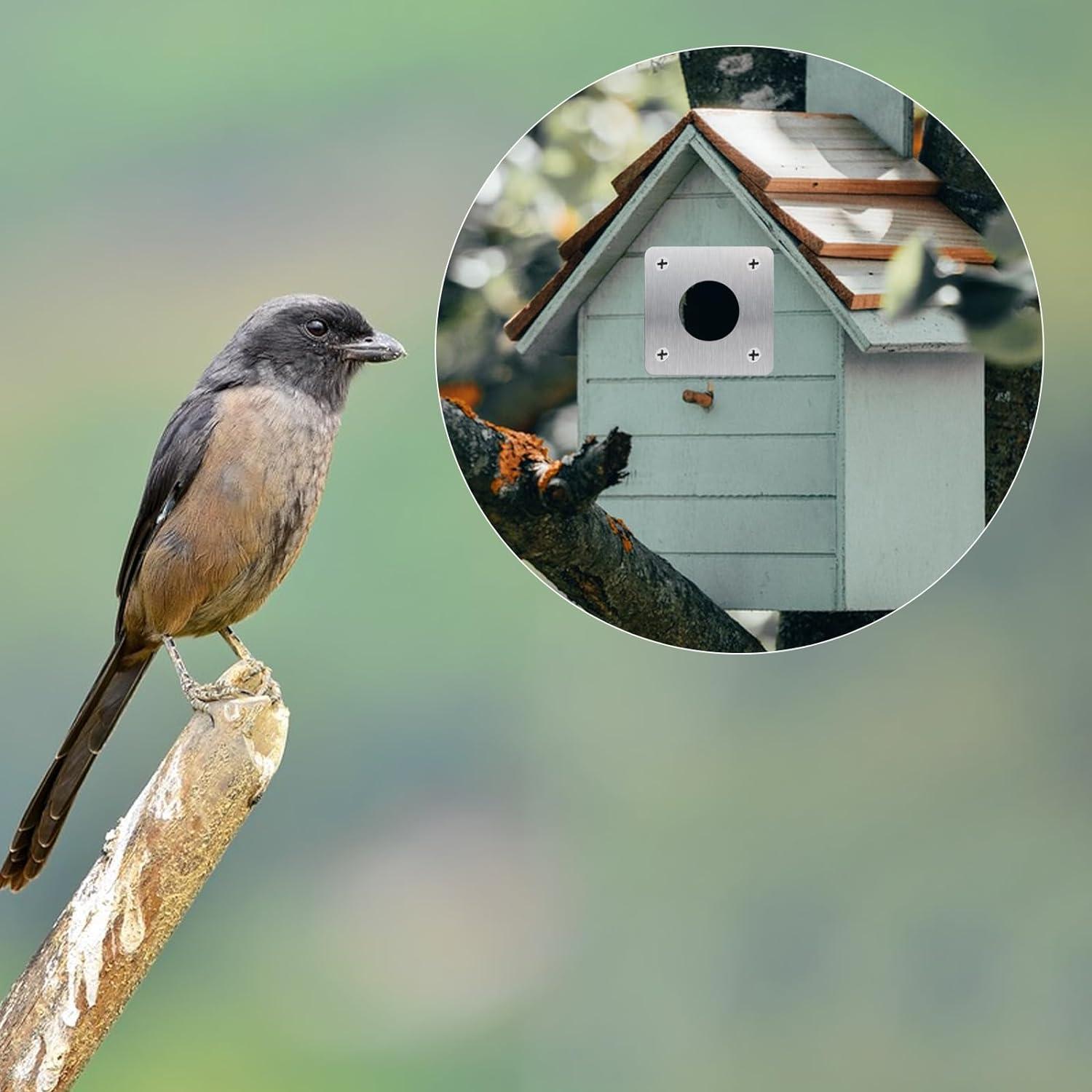 12PCS Bird Nest Box Protection Plates 32mm Wild Bird Boxes Garden Small ...