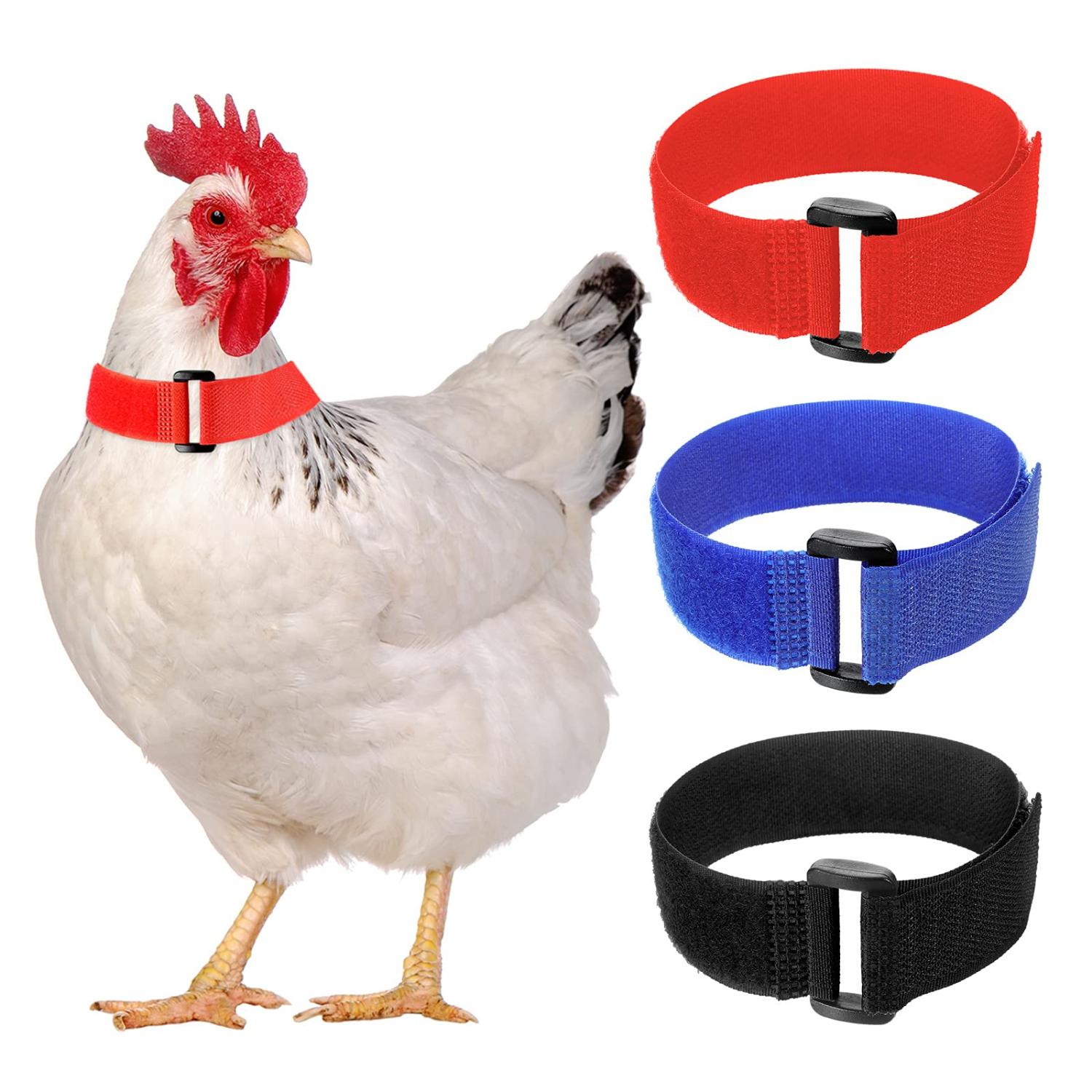 6-Piece Anti-Crow Rooster Collar - Nylon Neck Belt to Prevent Chicken ...