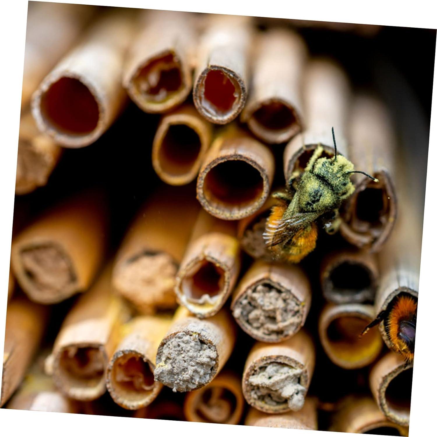 Bee House Bee Tubes 50pcs:Mason Bee Tube Refill Ground Mason Bees for ...