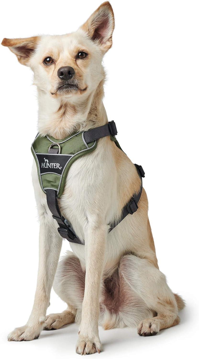 HUNTER DIVO Large Dog Harness (72-100 cm) - Green/Grey | International ...
