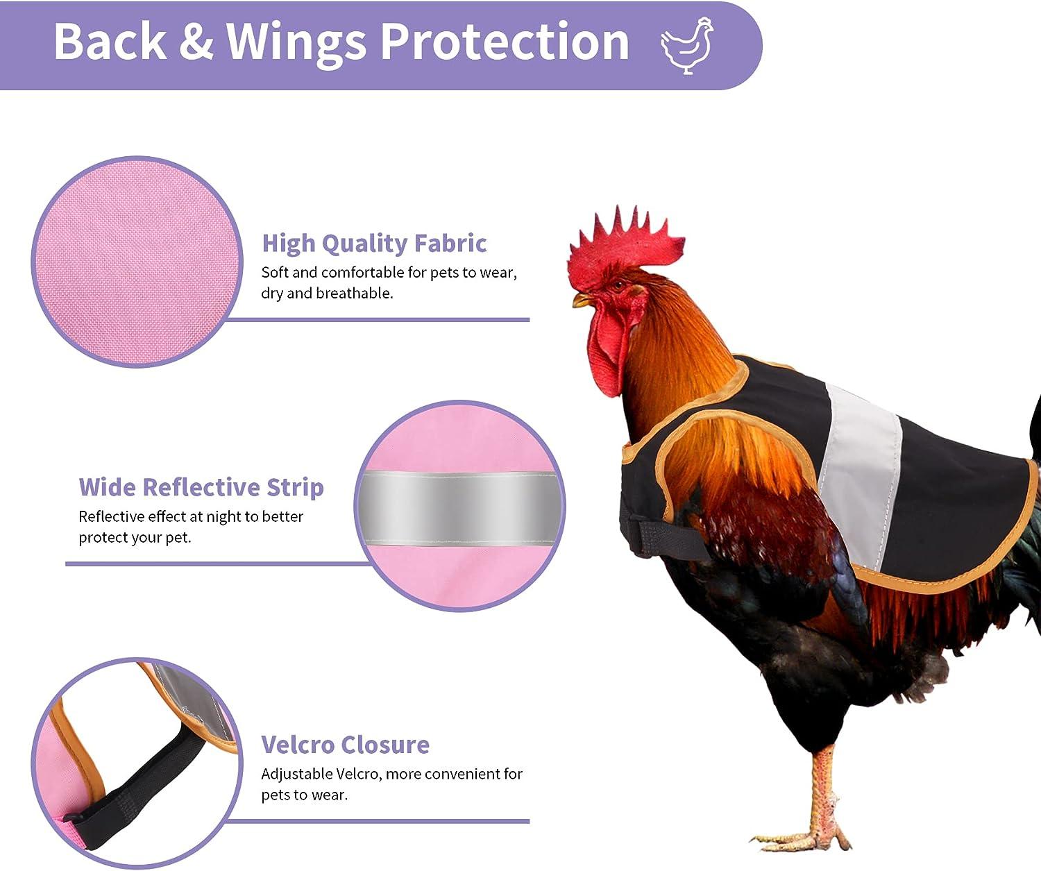 Vehipa 3 Pcs Reflective Chicken Vest Set - Adjustable Harness for ...
