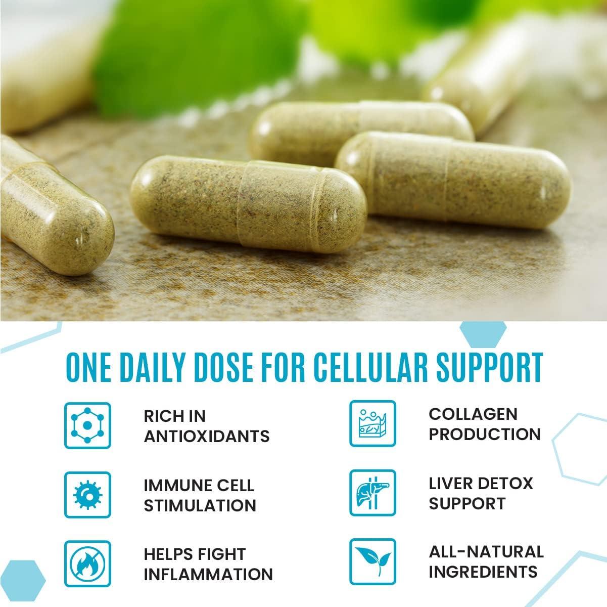 NativePath Native Defense - All-Natural Immune Support & Collagen ...