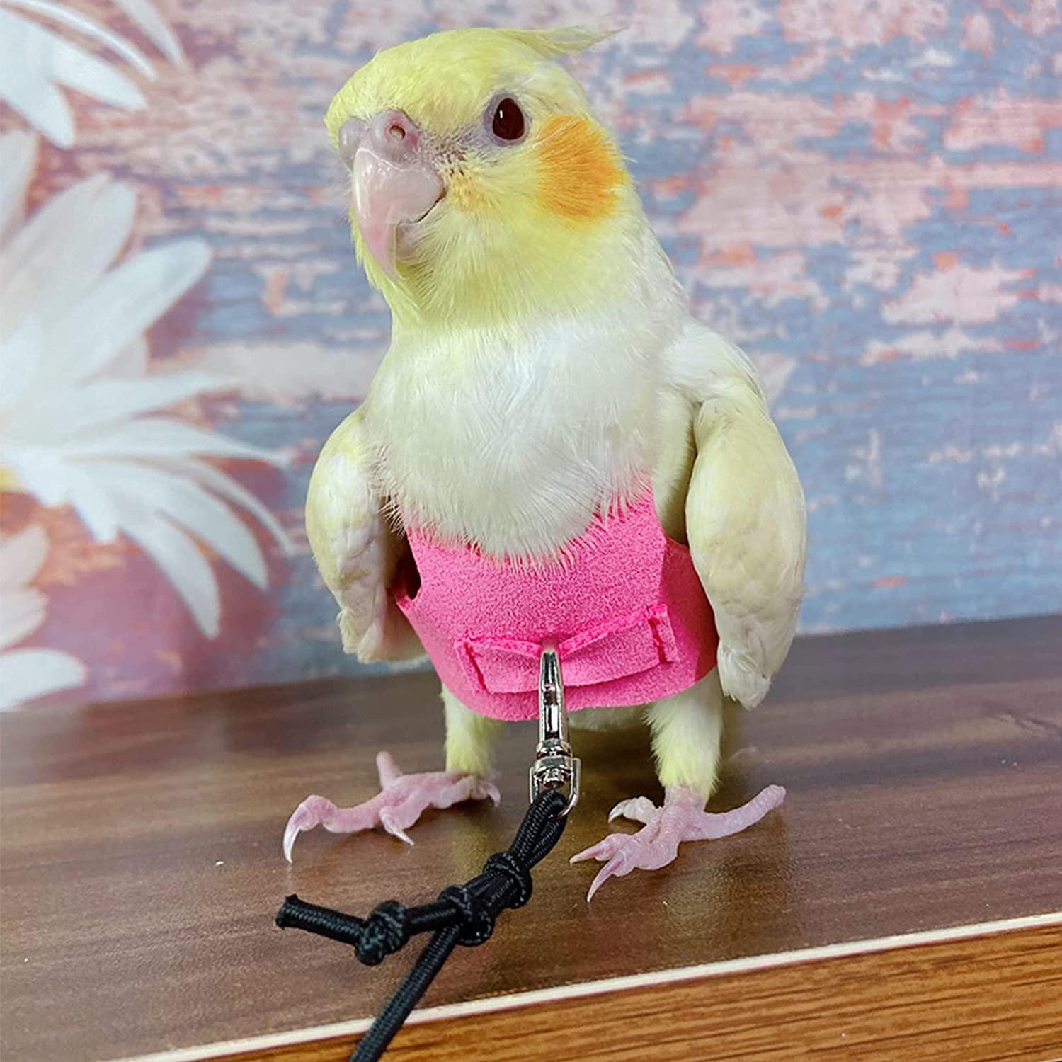 QBLEEV Medium Pink Bird Flight Harness Vest with Leash - Parrot Flight ...